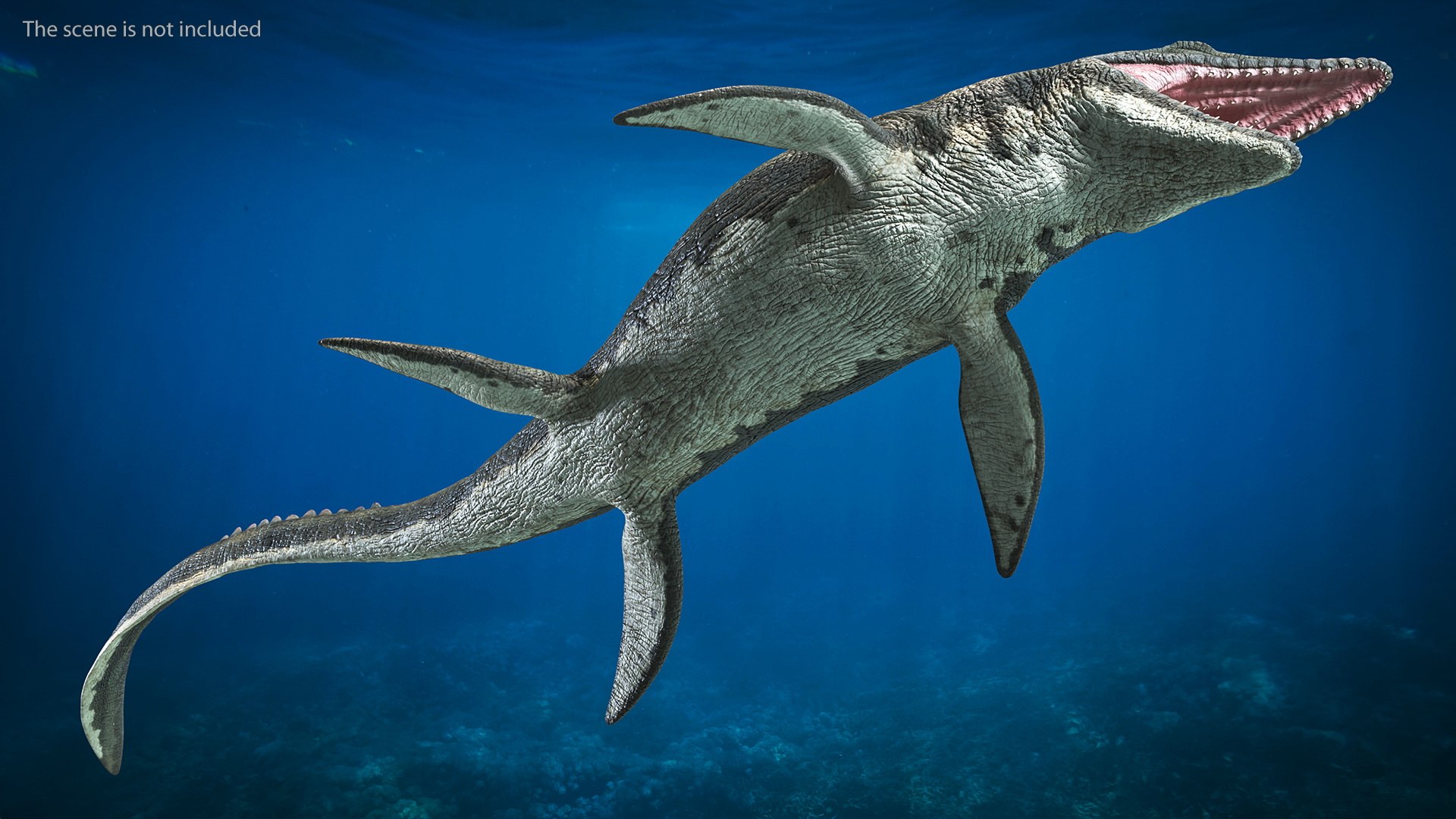 3D Mosasaurus Swimming - TurboSquid 1918610