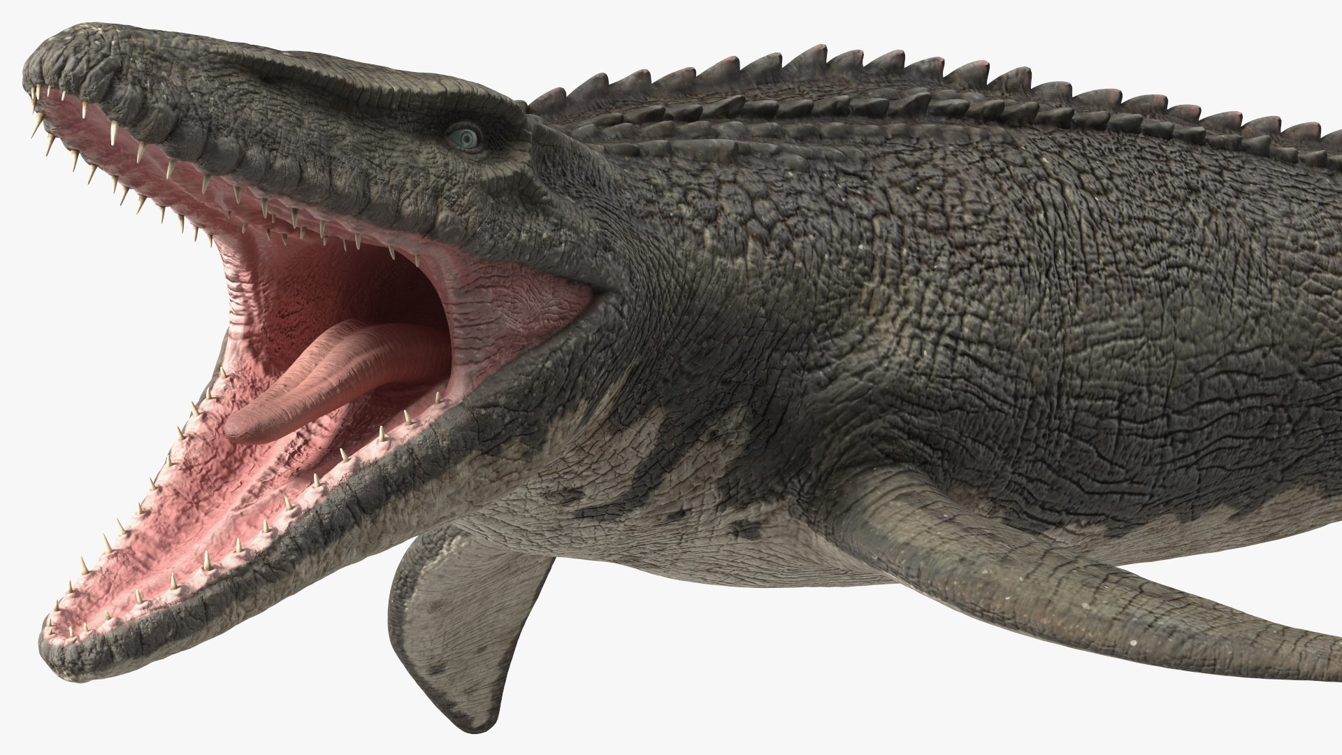 3D Mosasaurus Swimming - TurboSquid 1918610