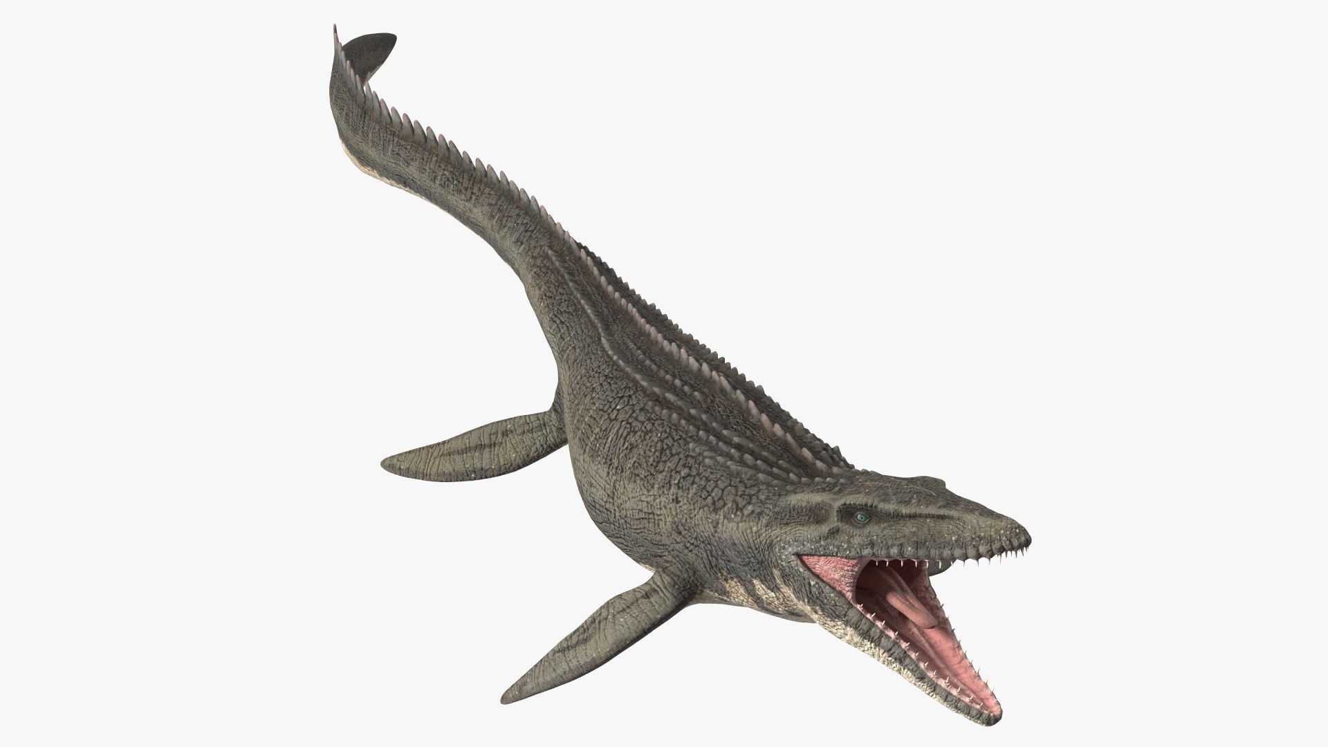 3D Mosasaurus Swimming - TurboSquid 1918610