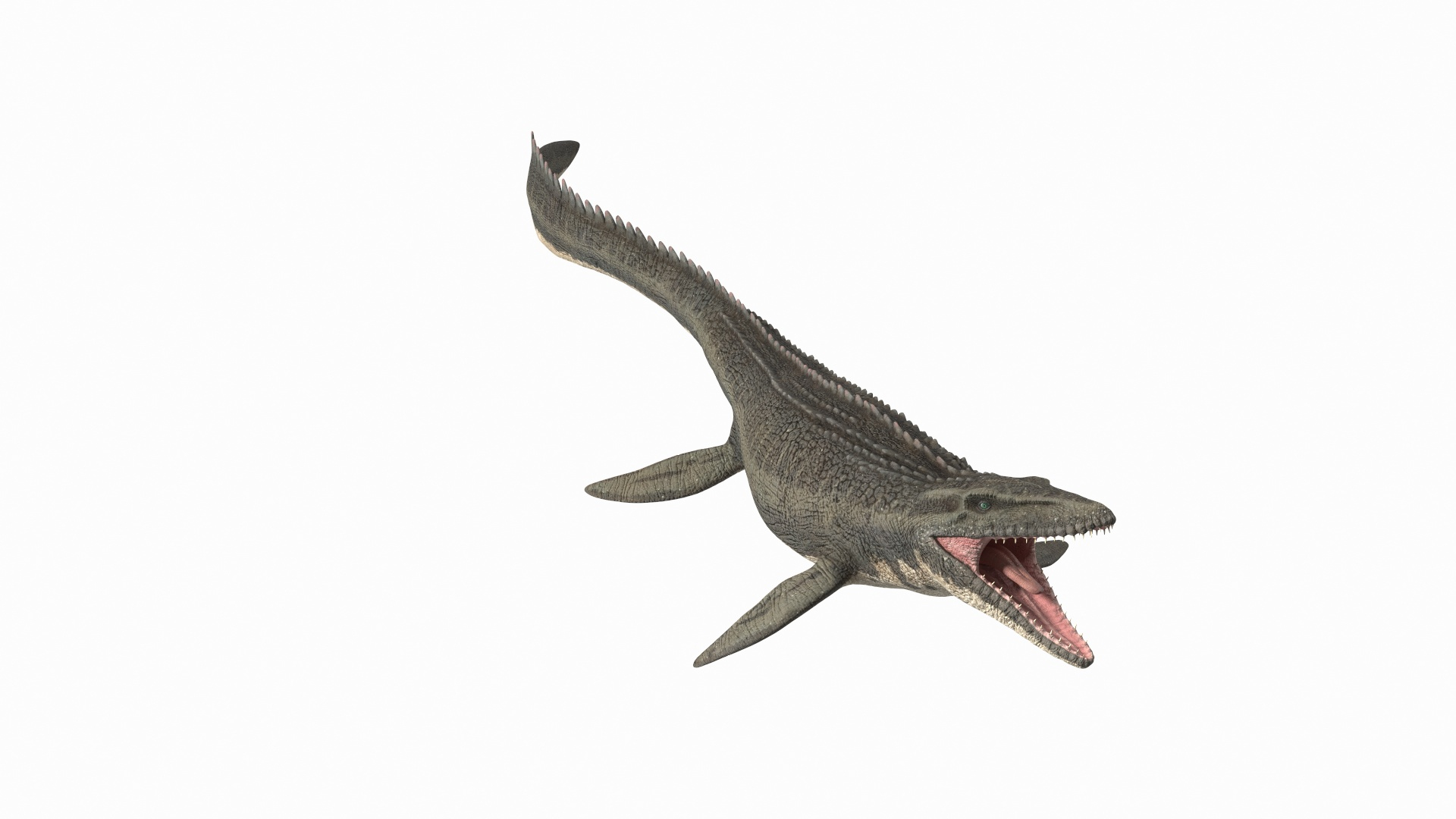 3D Mosasaurus Swimming - TurboSquid 1918610