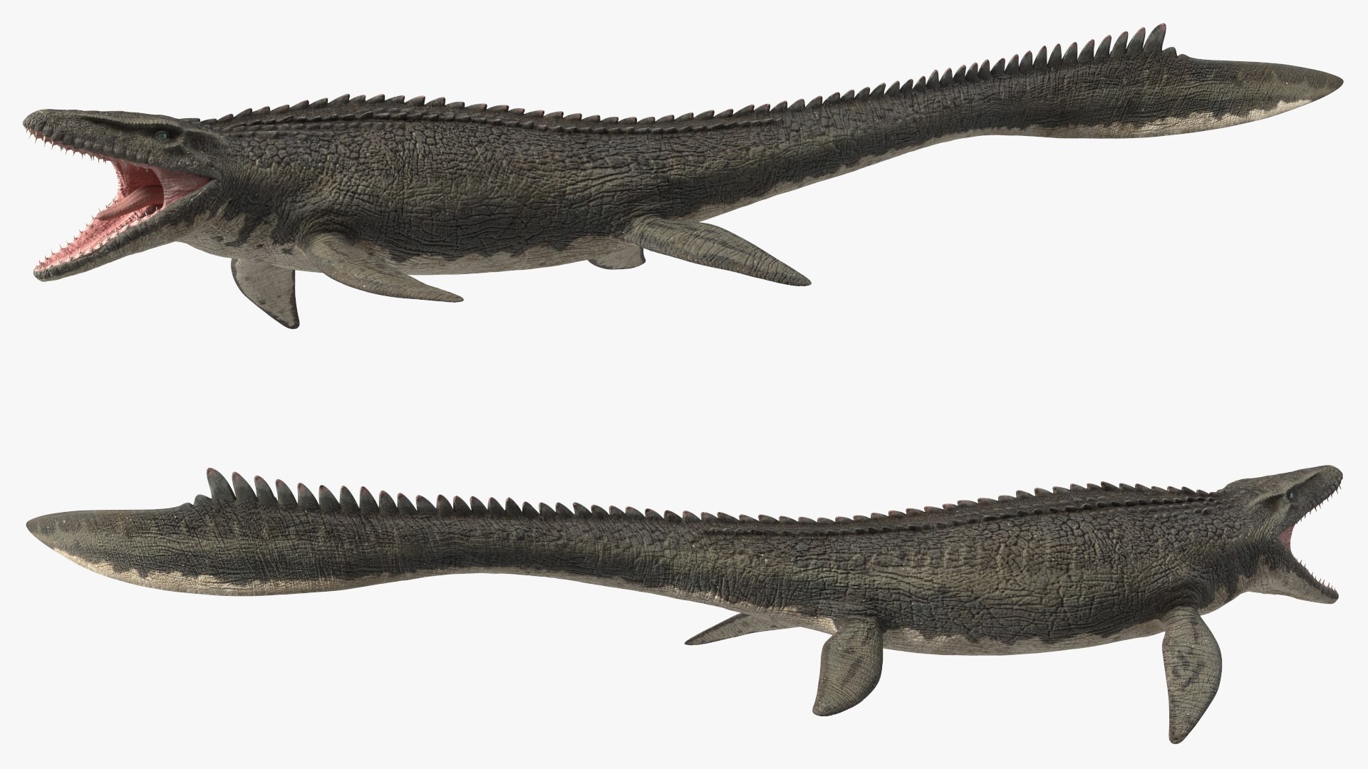 3D Mosasaurus Swimming - TurboSquid 1918610