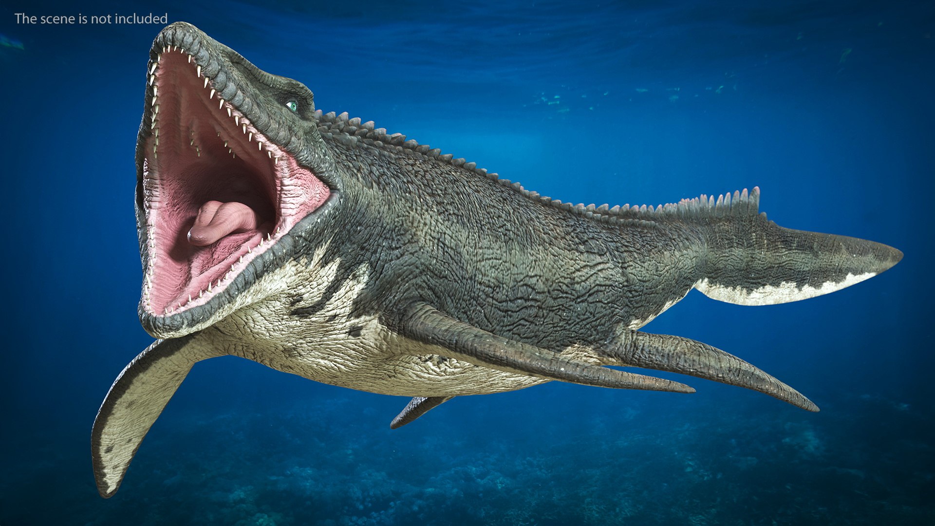 3D Mosasaurus Swimming - TurboSquid 1918610
