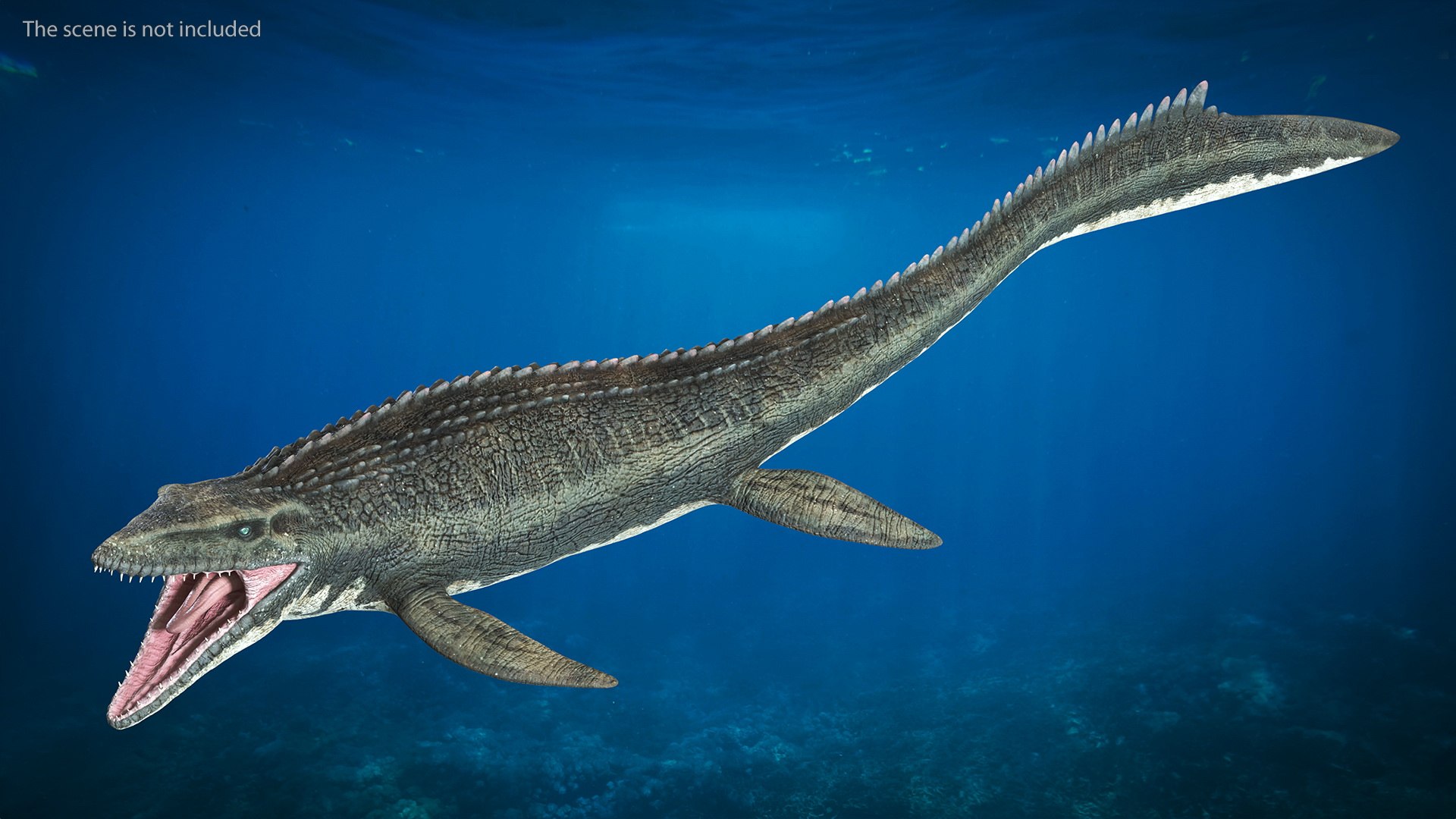 3D Mosasaurus Swimming - TurboSquid 1918610