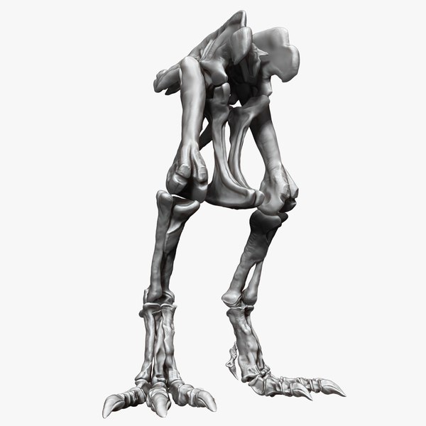 modelo 3d Tarbosaurus Bataar Cadera Pierna - TurboSquid 1902228