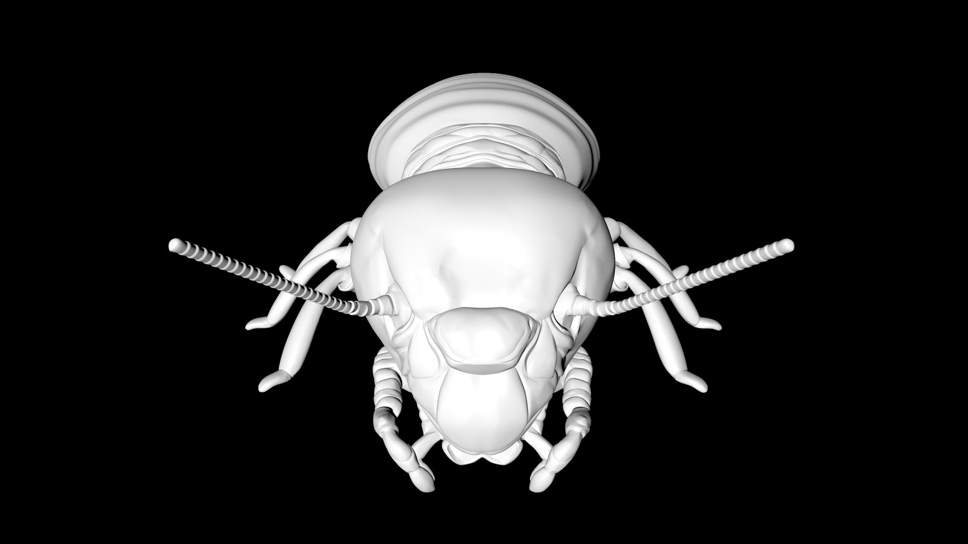 Termite insect bug 3D model - TurboSquid 1690034