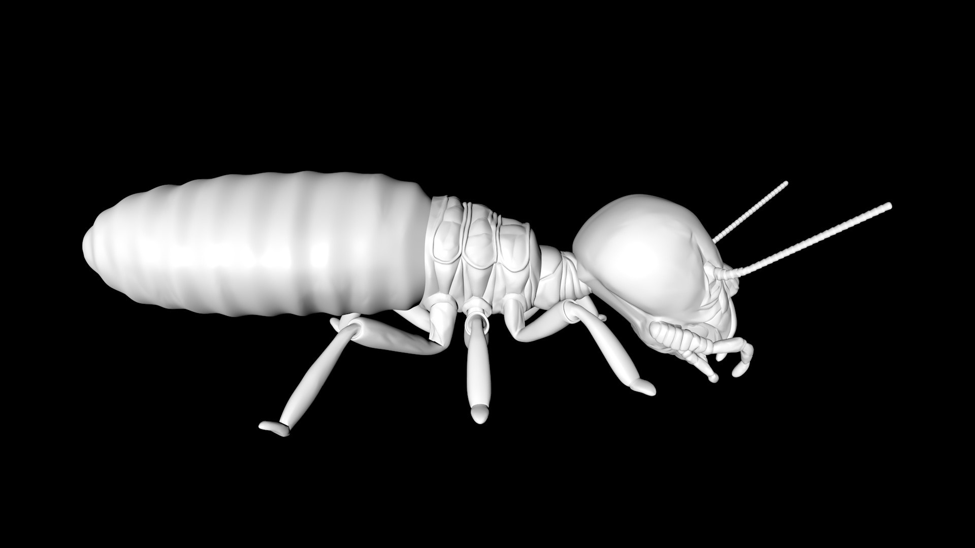 Termite insect bug 3D model - TurboSquid 1690034