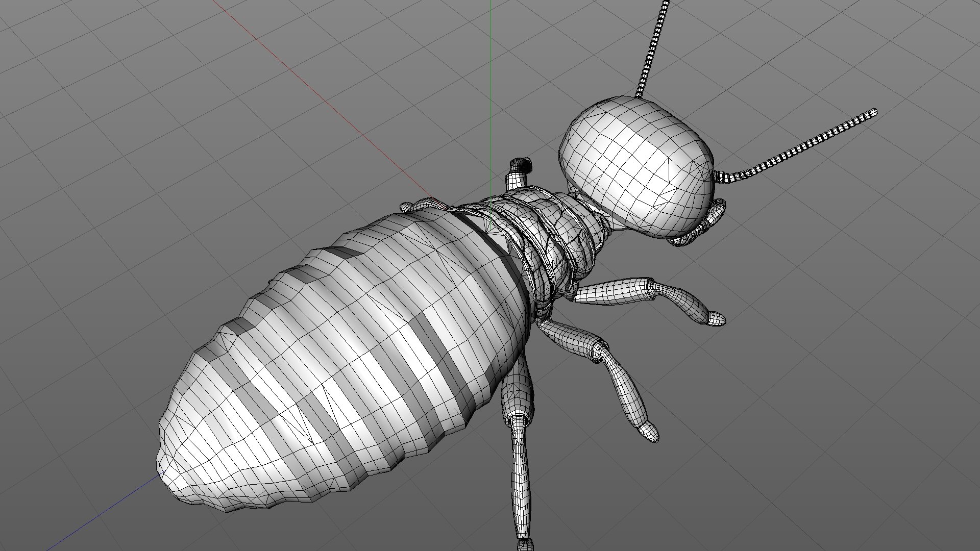Termite insect bug 3D model - TurboSquid 1690034