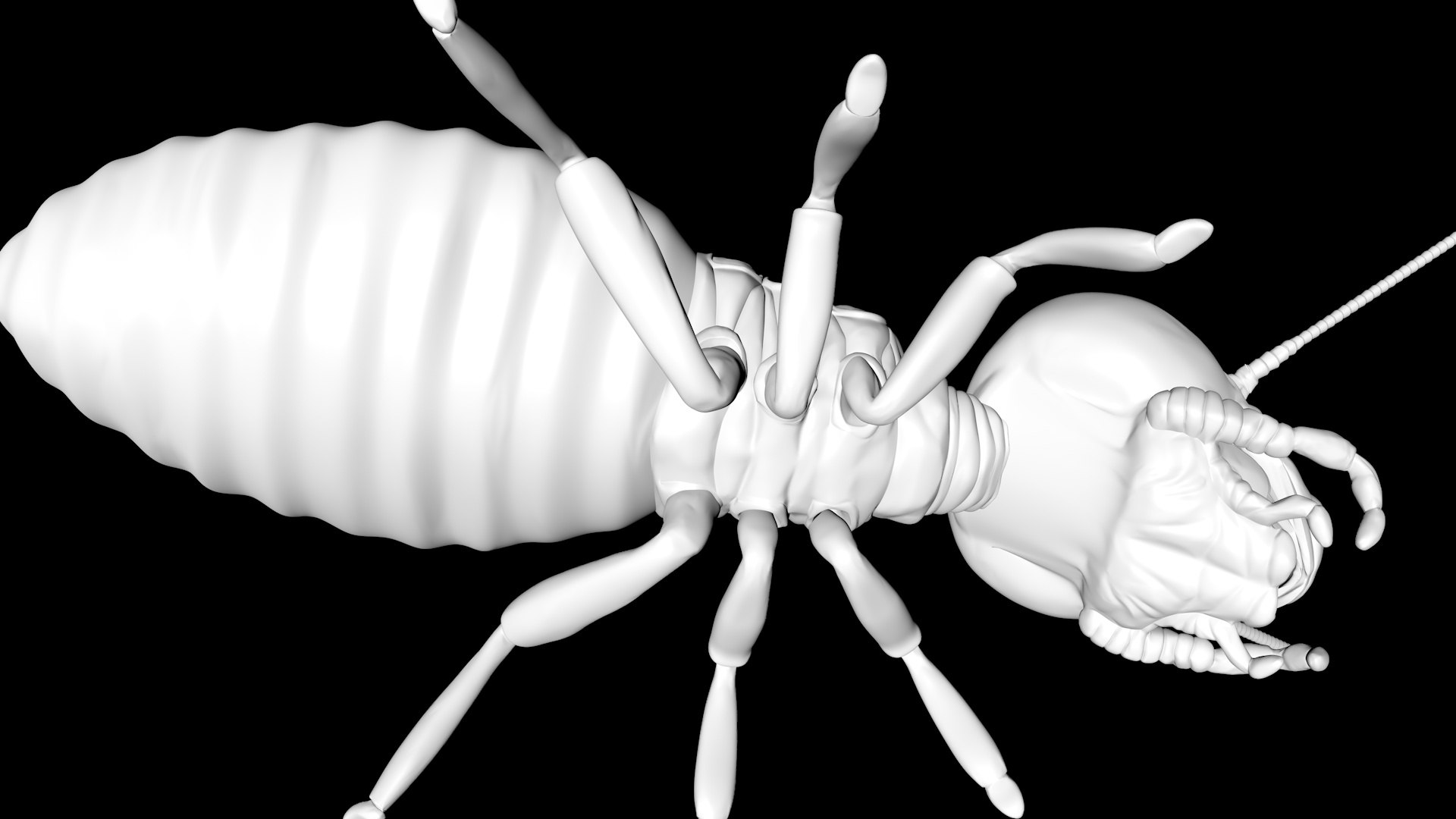 Termite insect bug 3D model - TurboSquid 1690034