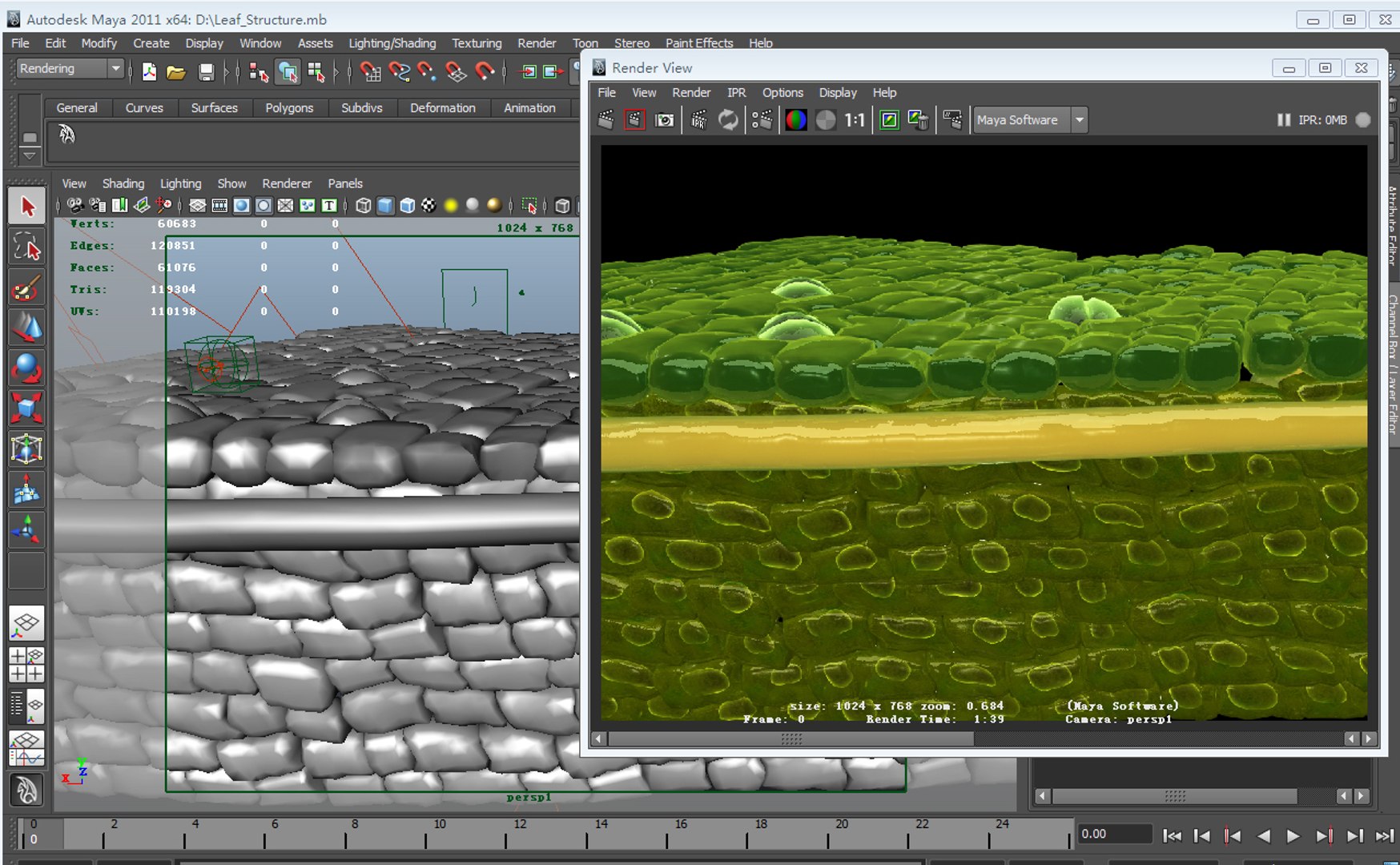 Mesophyll Cells Plant 3d Model