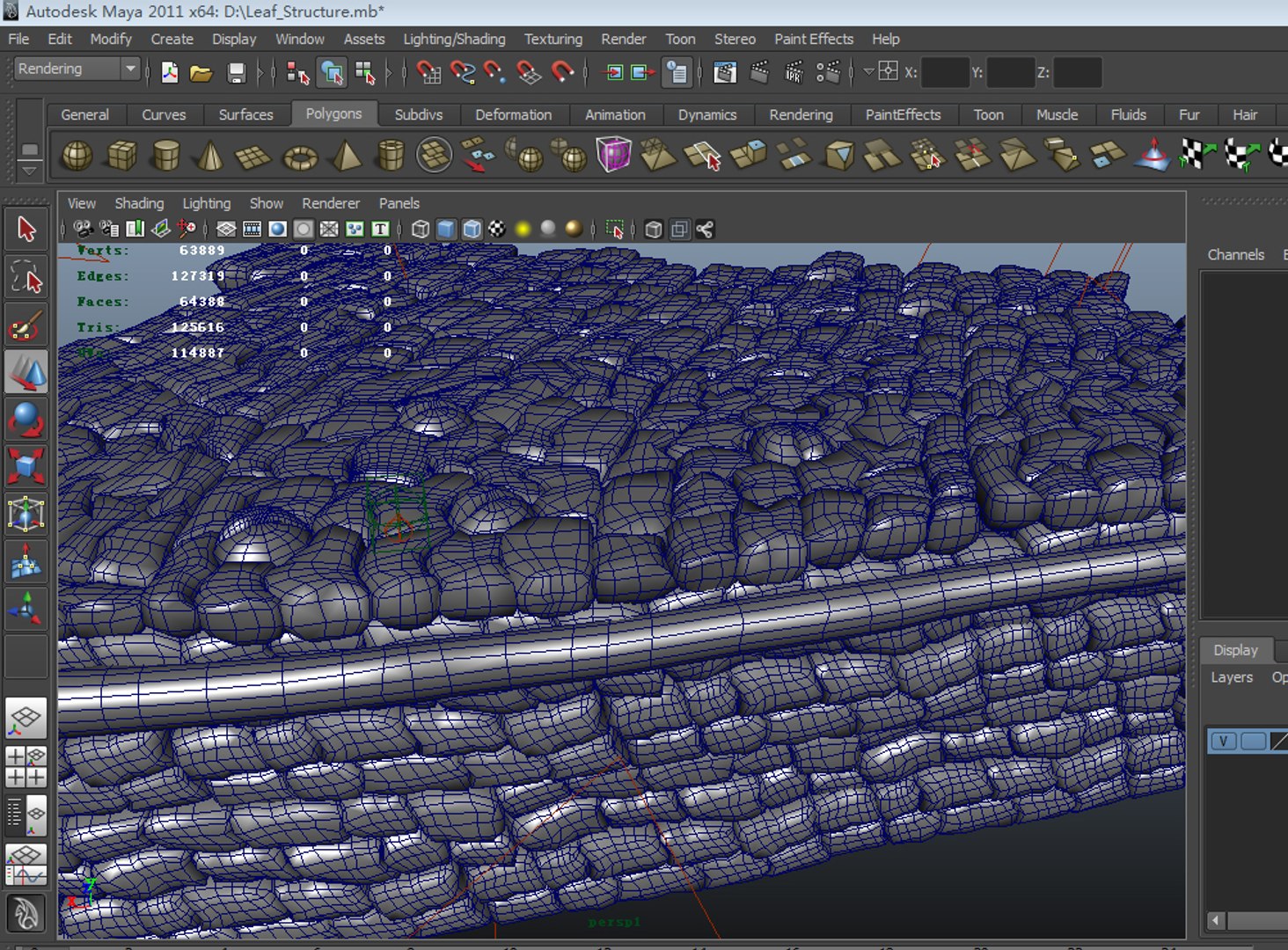 Mesophyll Cells Plant 3d Model