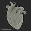 Anatomy Heart Medical Plastic 3d Model