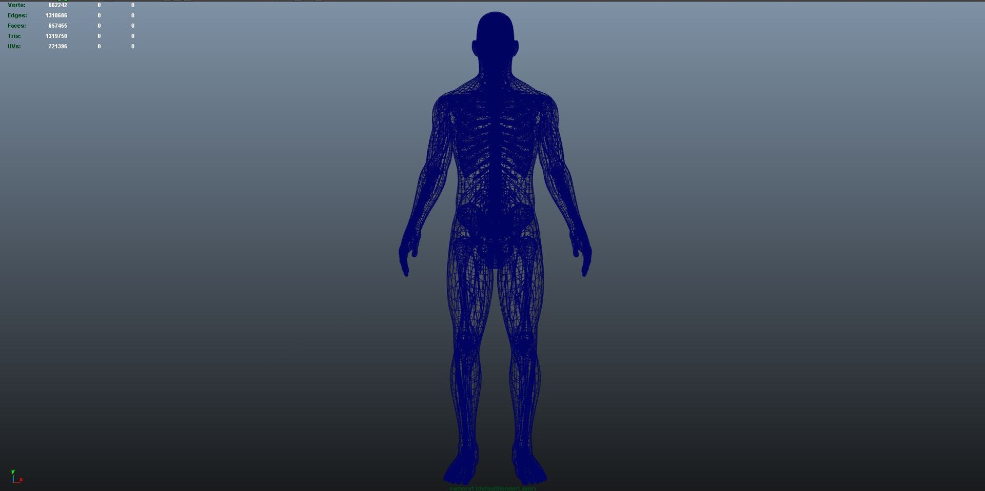 3D Body Skeleton Nerves Model - TurboSquid 1217417