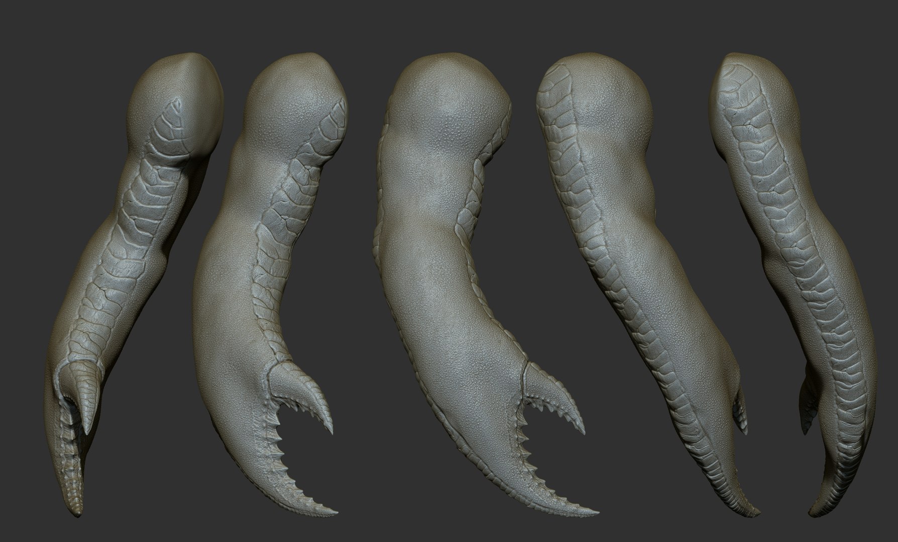 3D 25 Creature arms model - TurboSquid 1958454