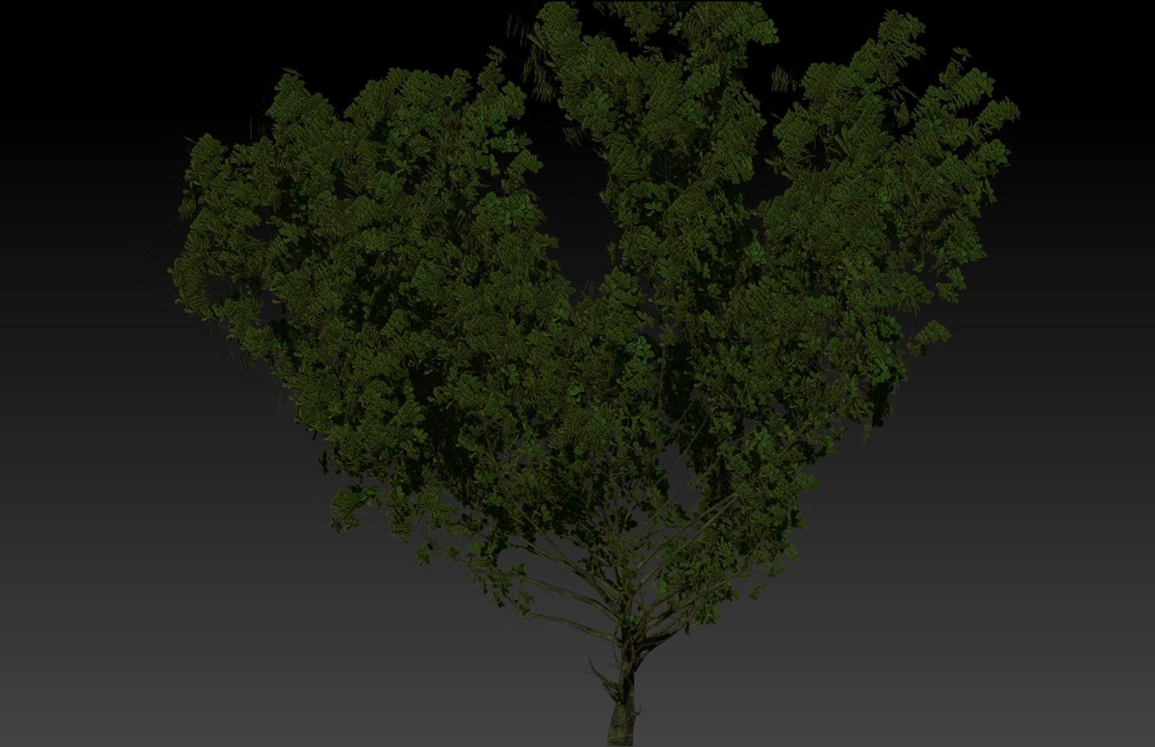 3d Model Fantasy Tree Displacement Maps