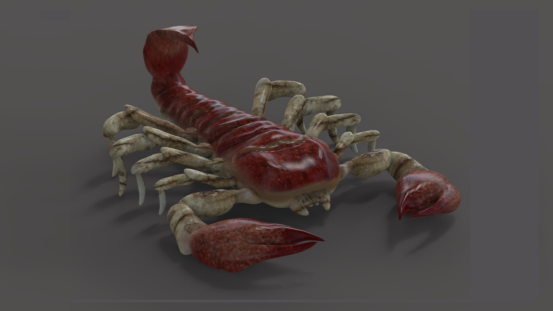 Scorpion Monster Model - TurboSquid 2105388