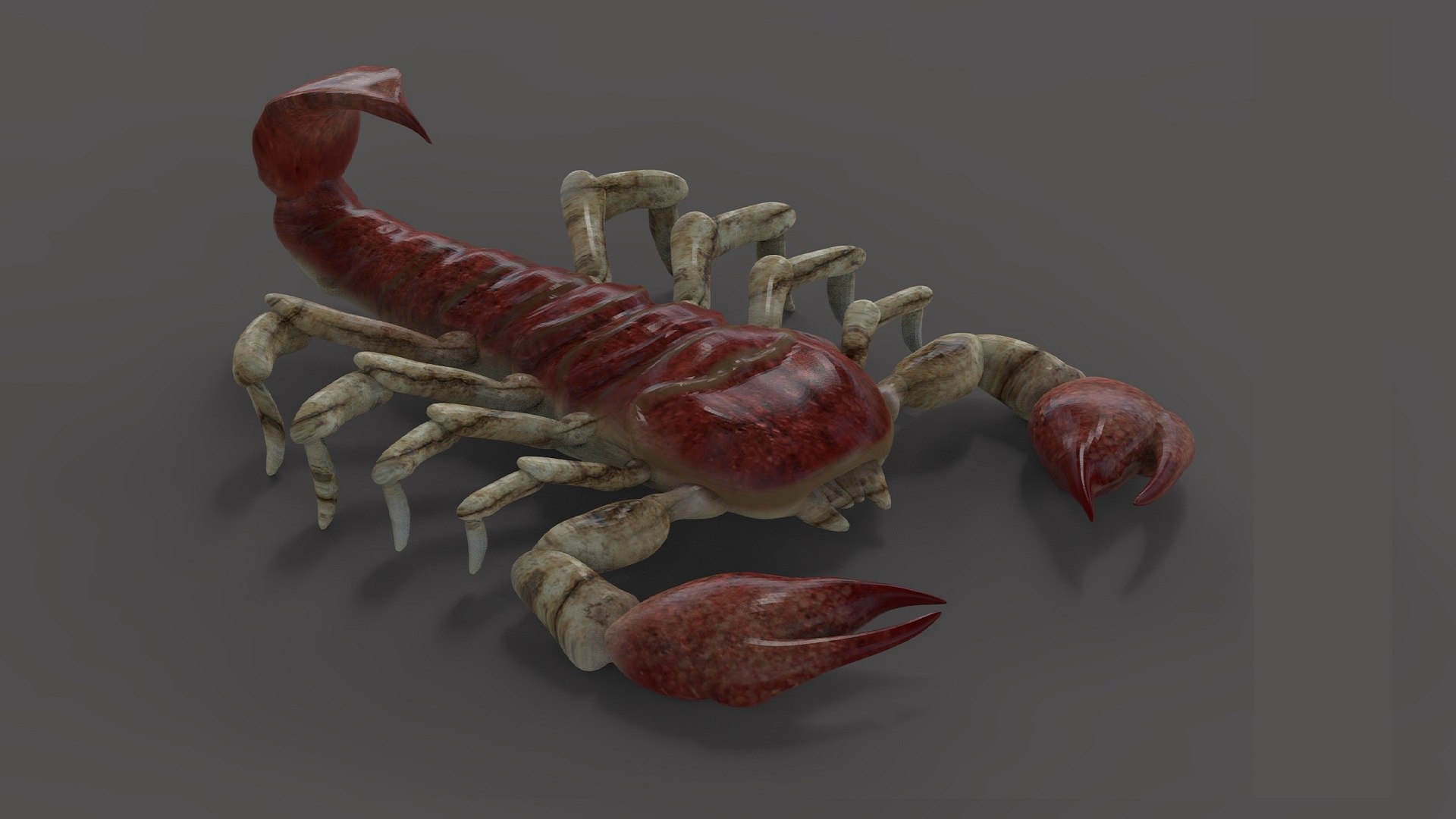 Scorpion Monster Model - TurboSquid 2105388