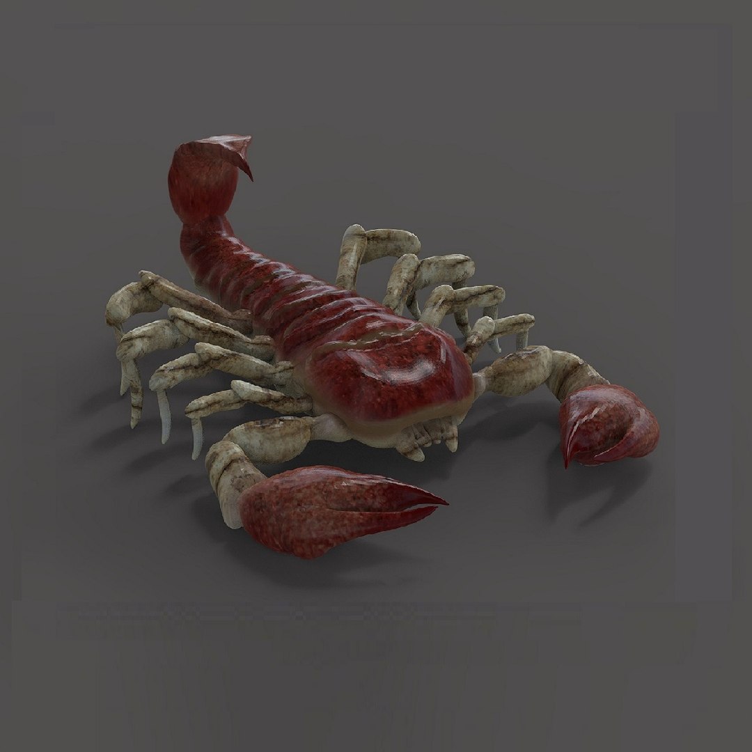 Scorpion Monster Model - TurboSquid 2105388