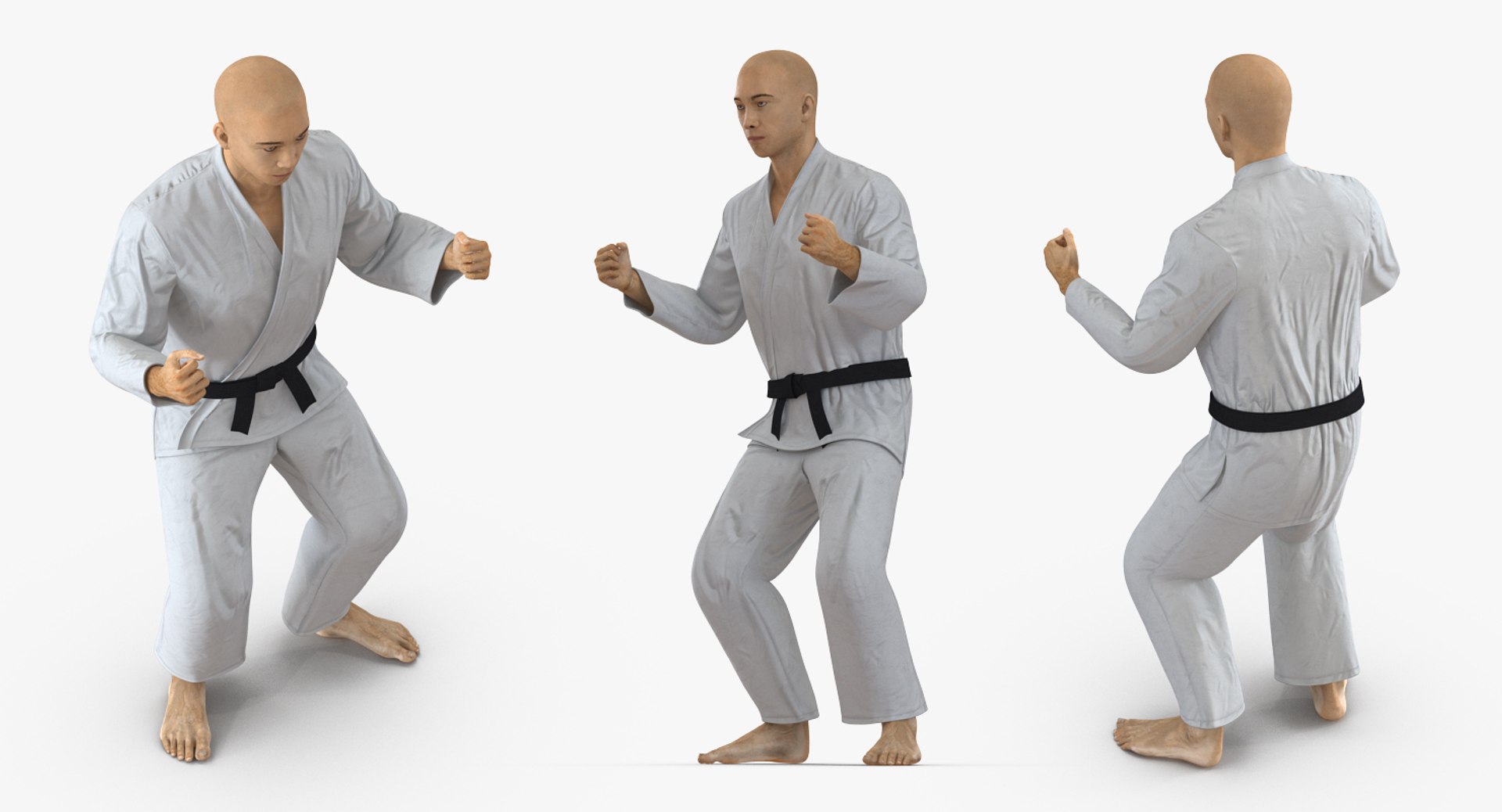 3d japanese karate fighter rigged model