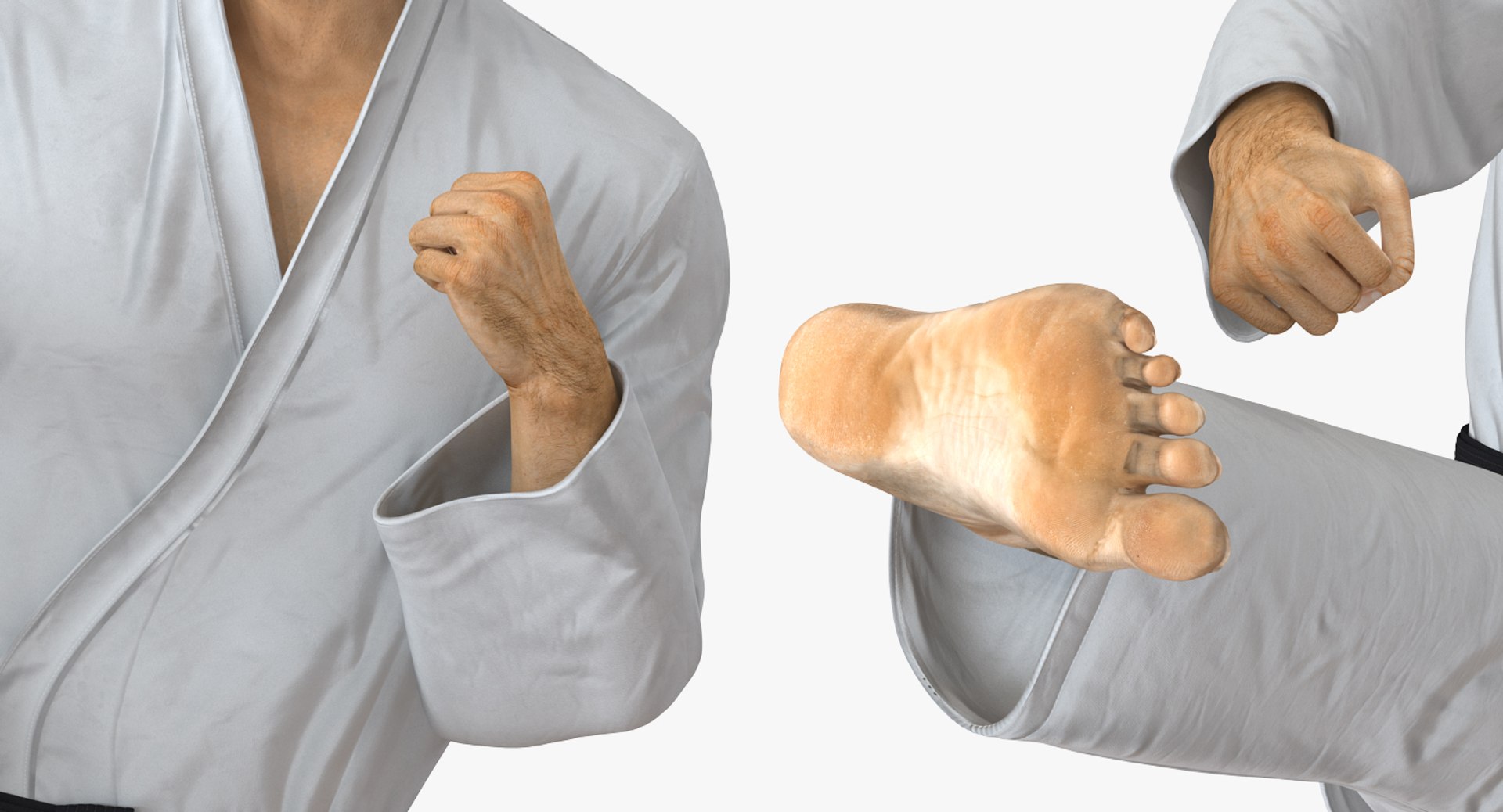 3d japanese karate fighter rigged model