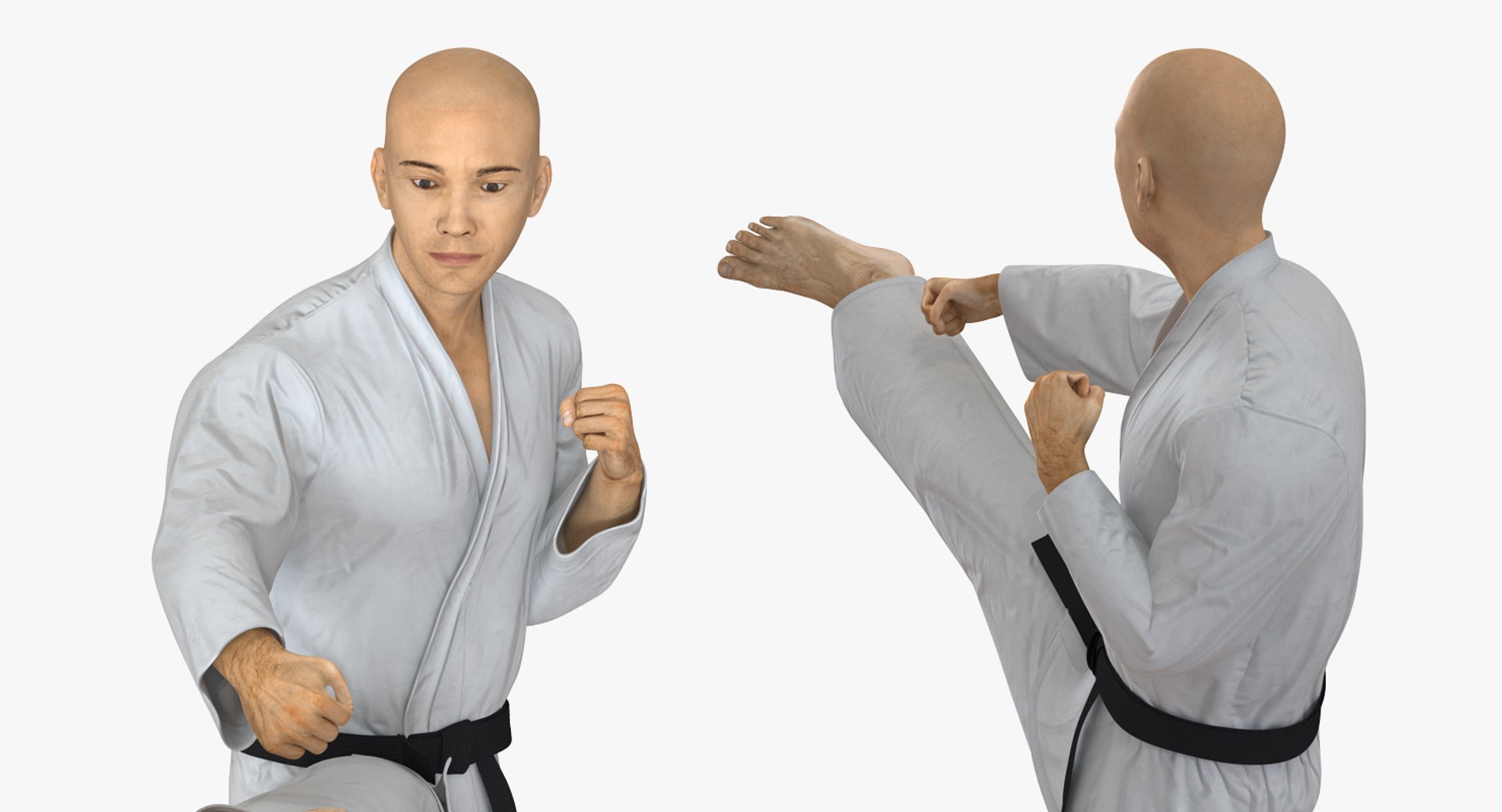 3d japanese karate fighter rigged model