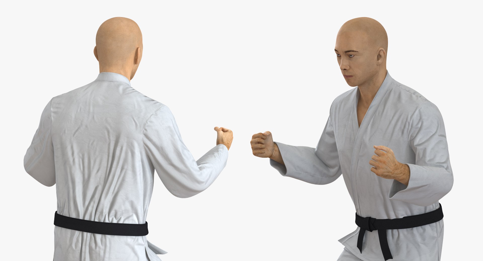 3d japanese karate fighter rigged model