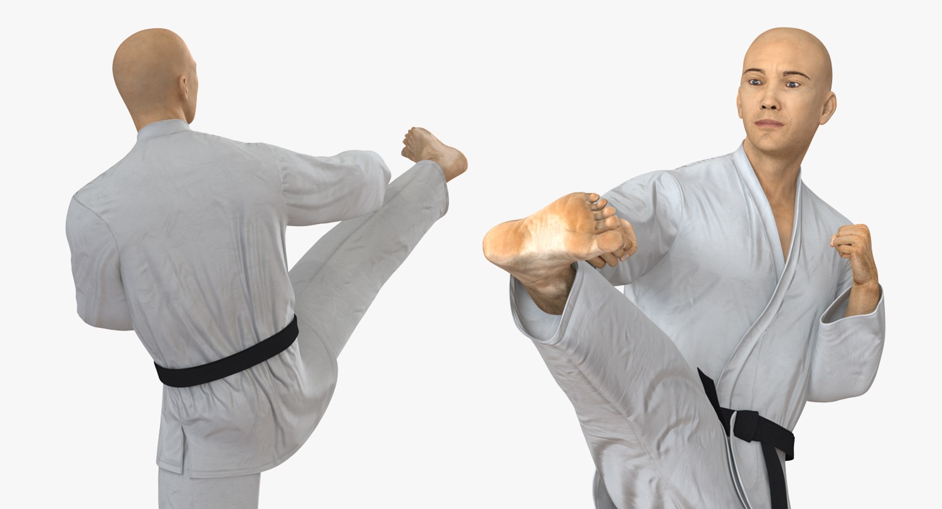 3d japanese karate fighter rigged model