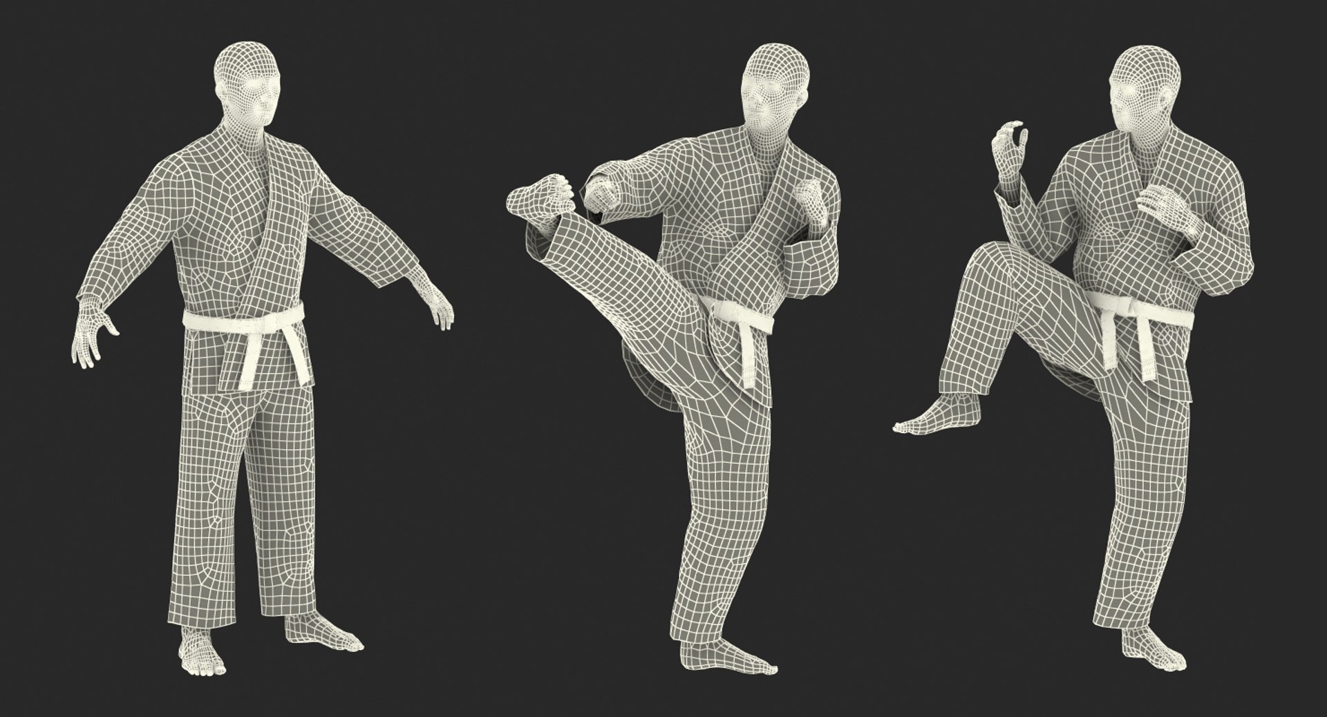 3d japanese karate fighter rigged model