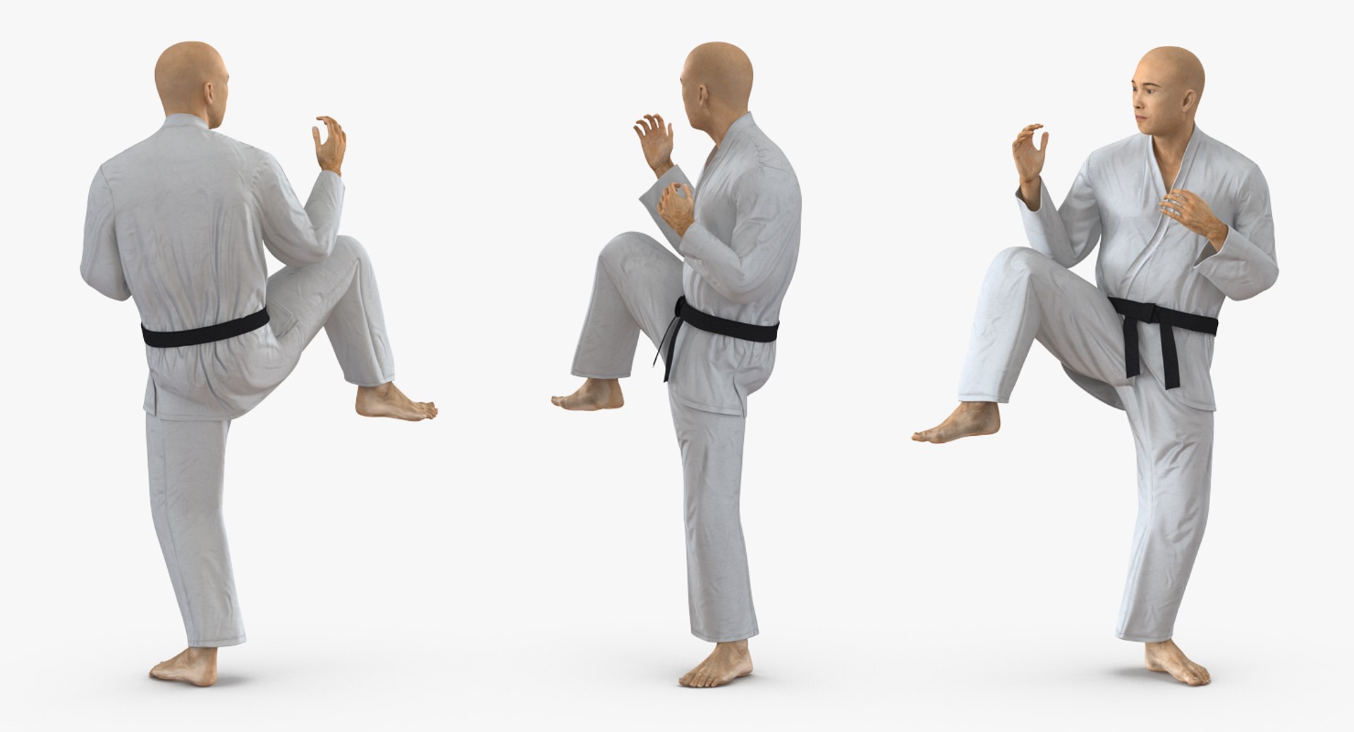 3d japanese karate fighter rigged model