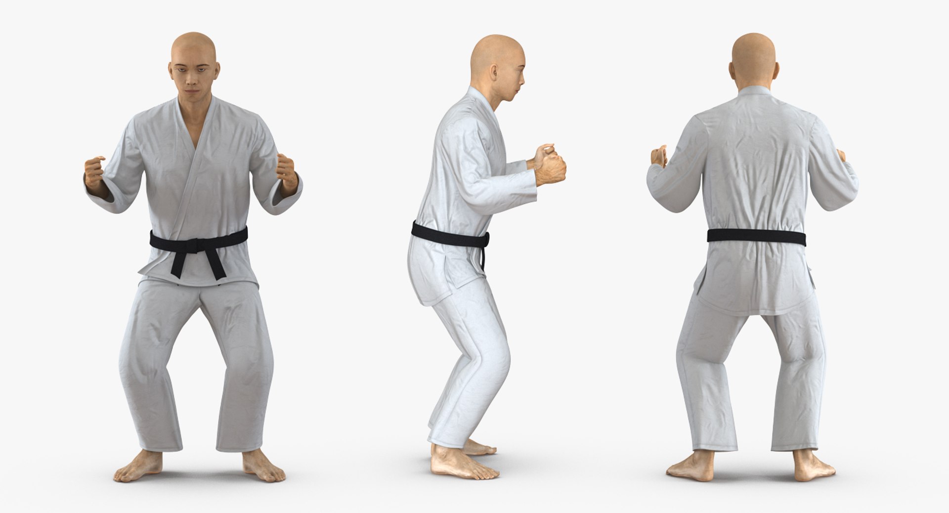 3d japanese karate fighter rigged model