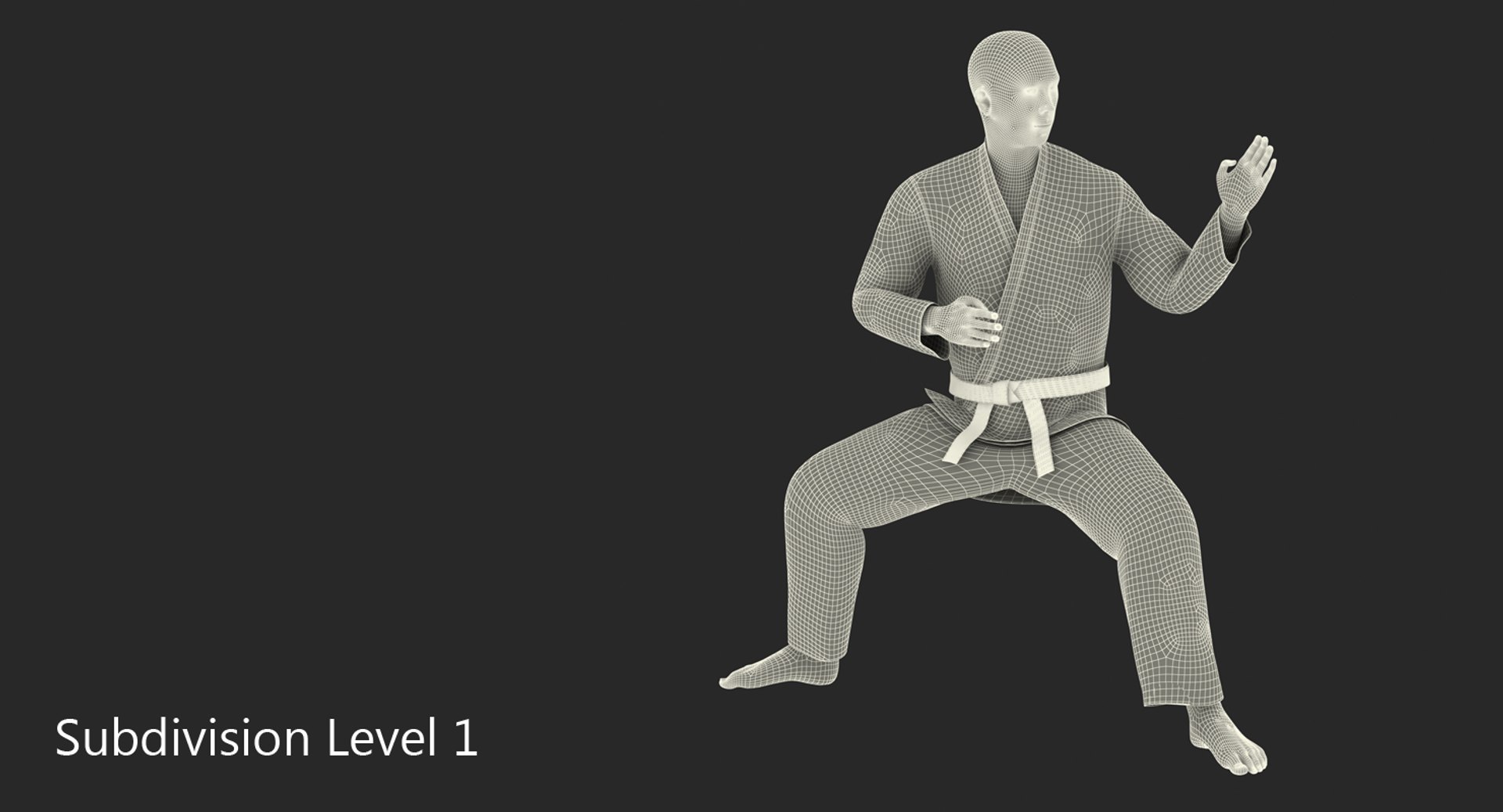 3d japanese karate fighter rigged model