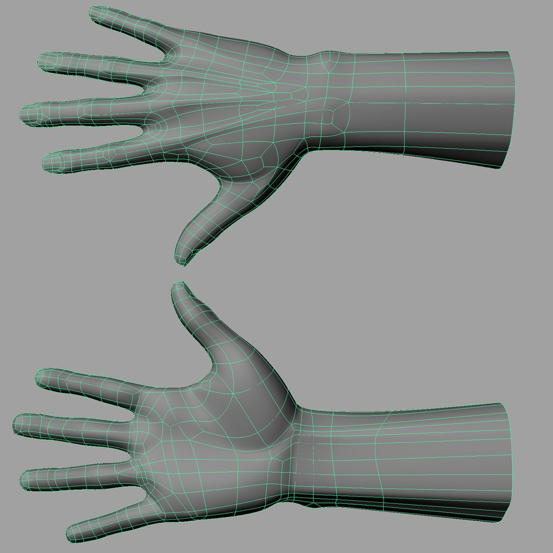 hand quad high-res 3d model