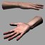 hand quad high-res 3d model