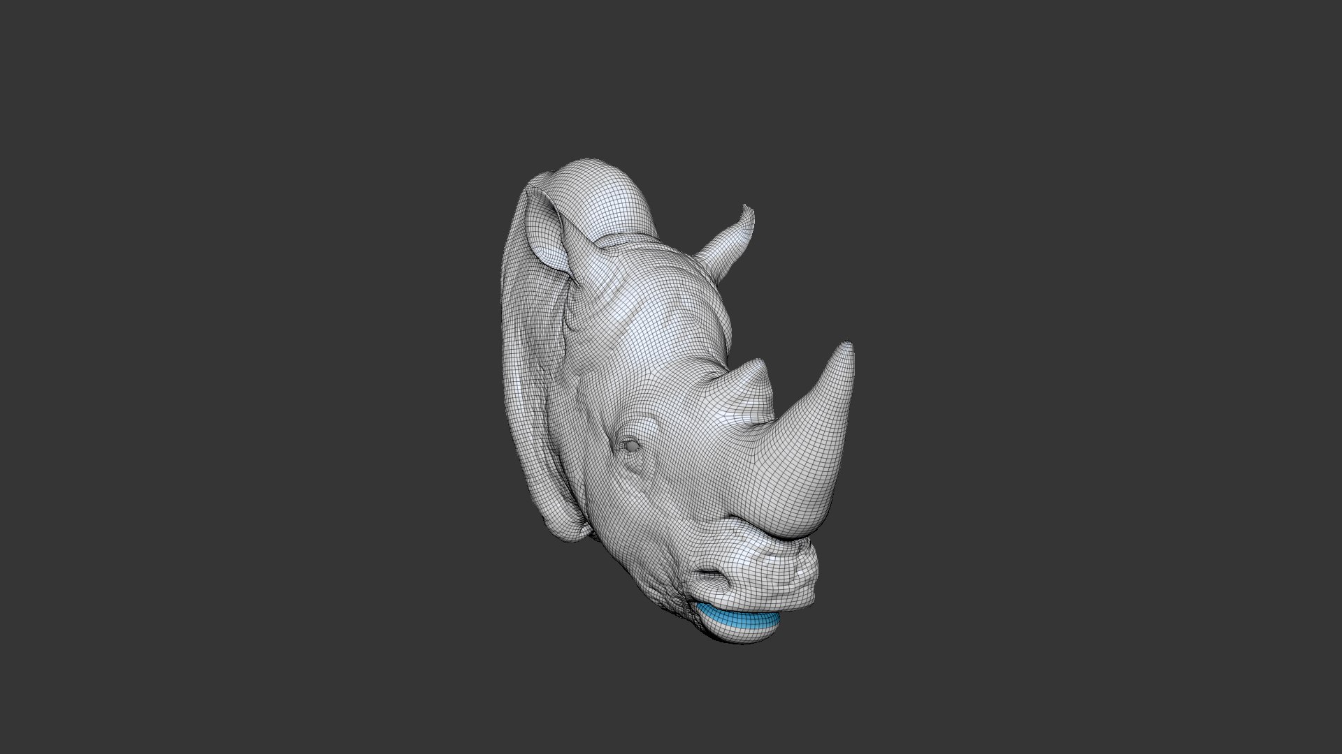 3D Rhino Head Highpoly Sculpt Model - TurboSquid 1806612