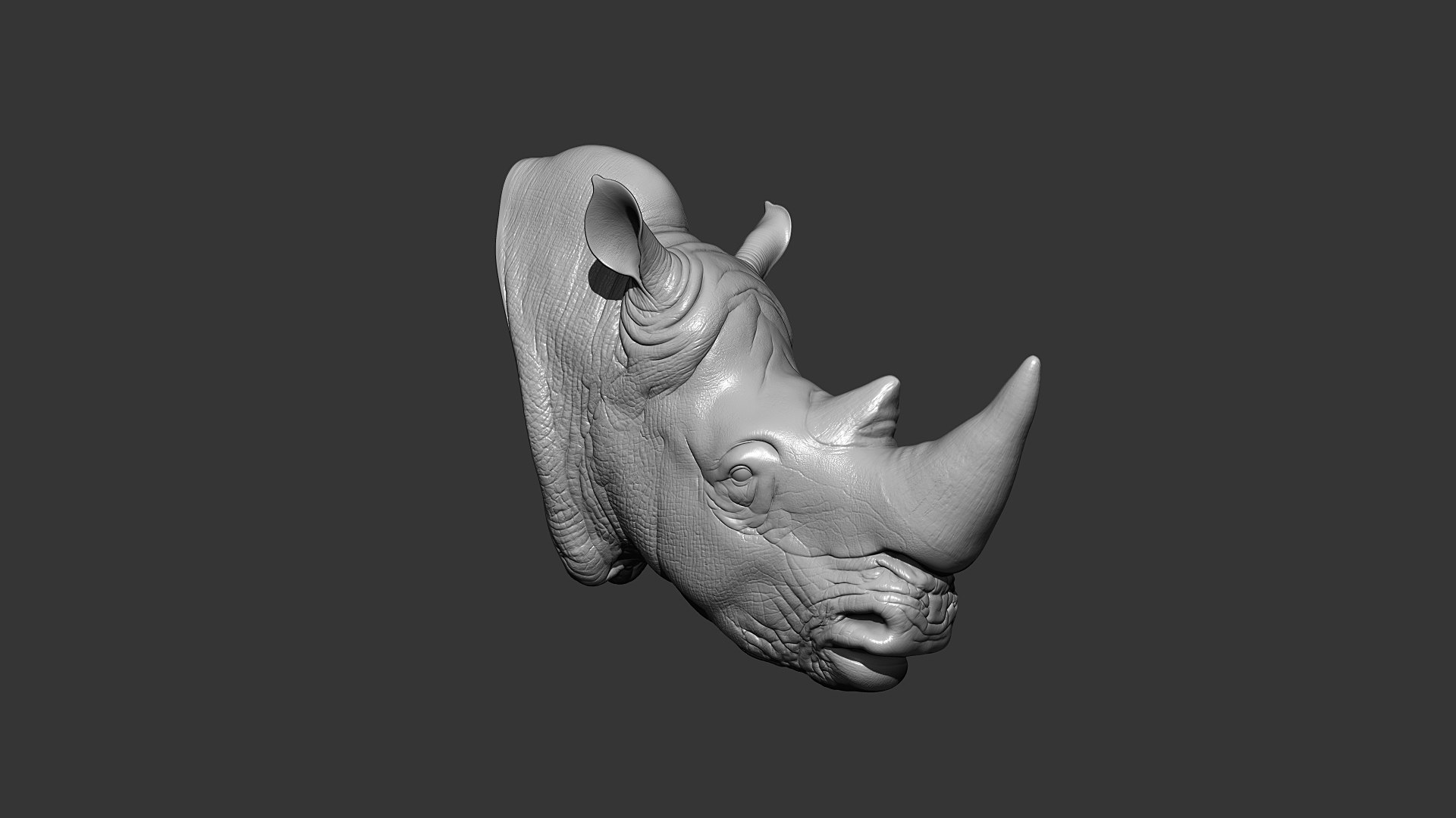 3D Rhino Head Highpoly Sculpt model - TurboSquid 1806612