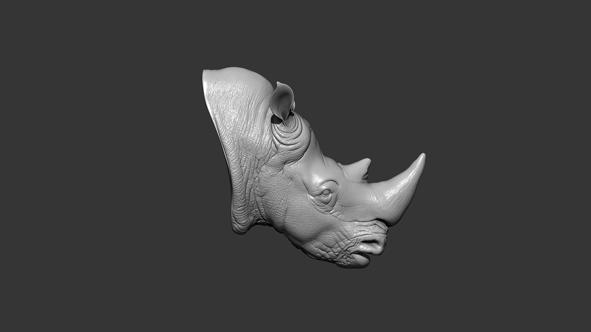 3D Rhino Head Highpoly Sculpt Model - TurboSquid 1806612