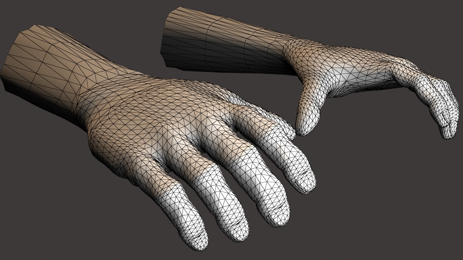 Human Hands 3d 3ds