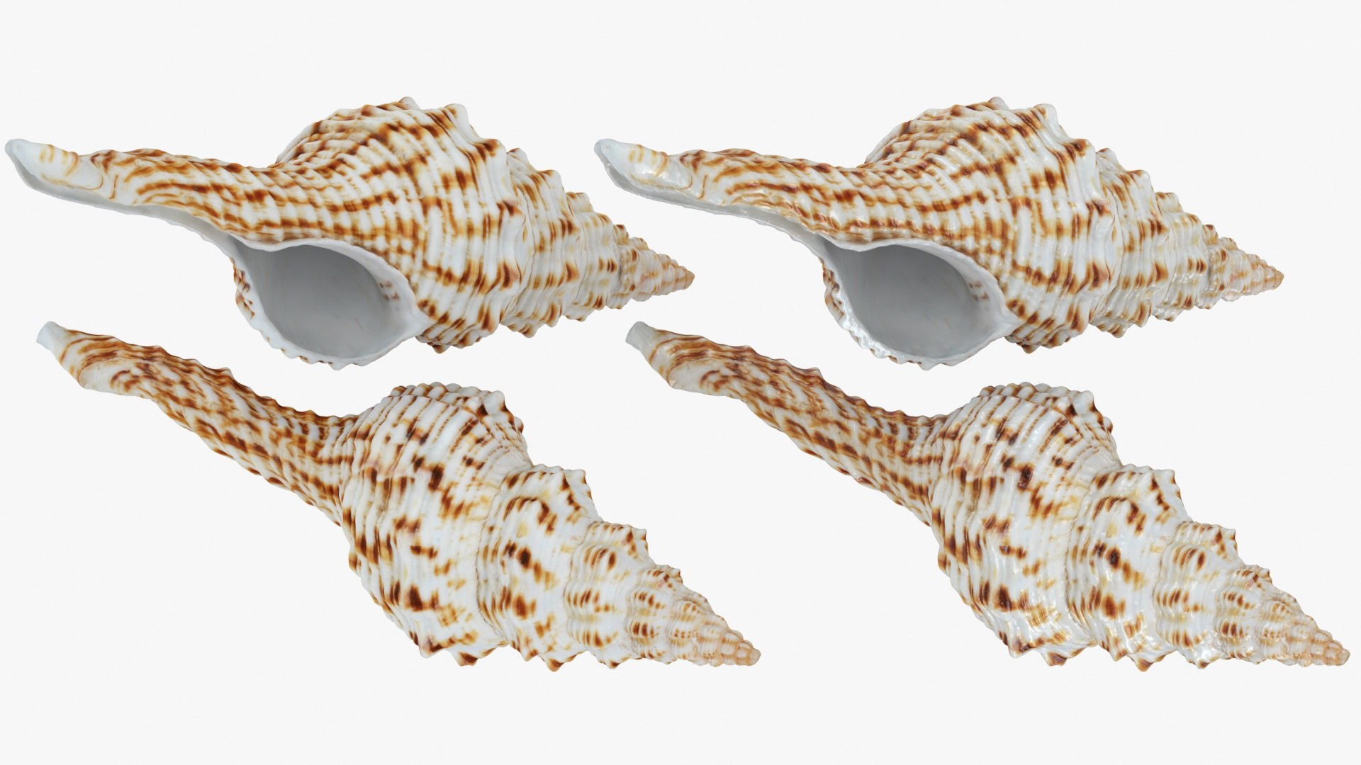 Nicobar Spindle Model - TurboSquid 2282092