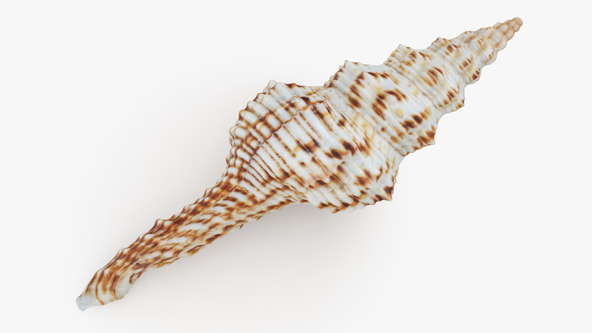 Nicobar Spindle Model - TurboSquid 2282092