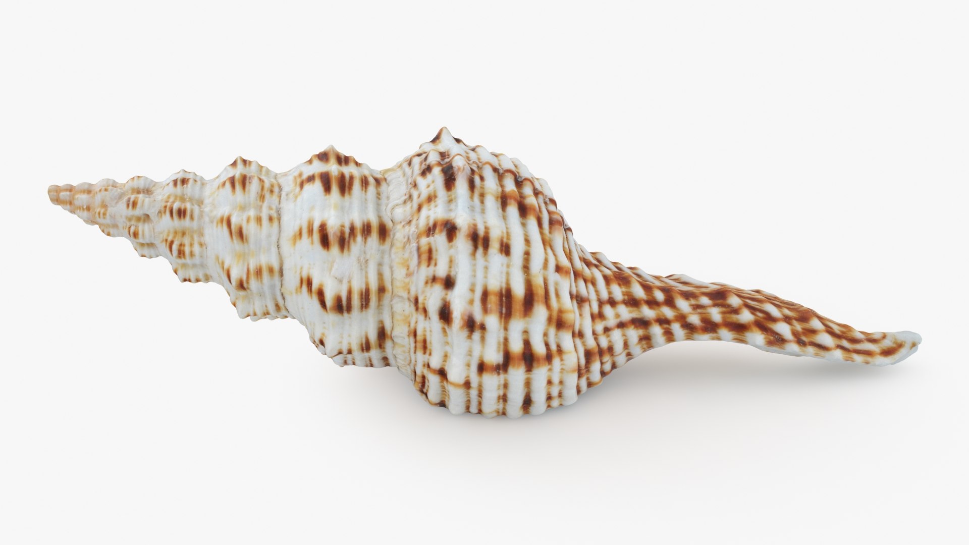 Nicobar Spindle Model - TurboSquid 2282092