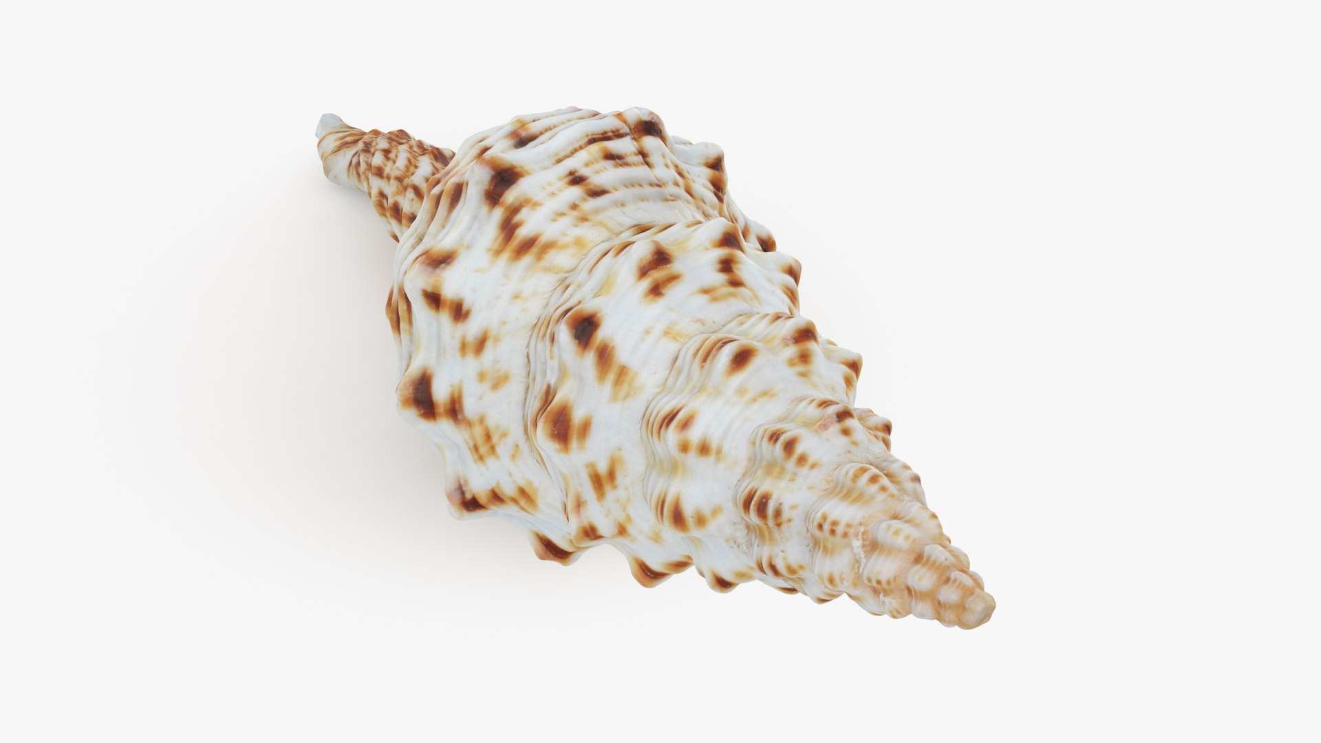 Nicobar Spindle Model - TurboSquid 2282092