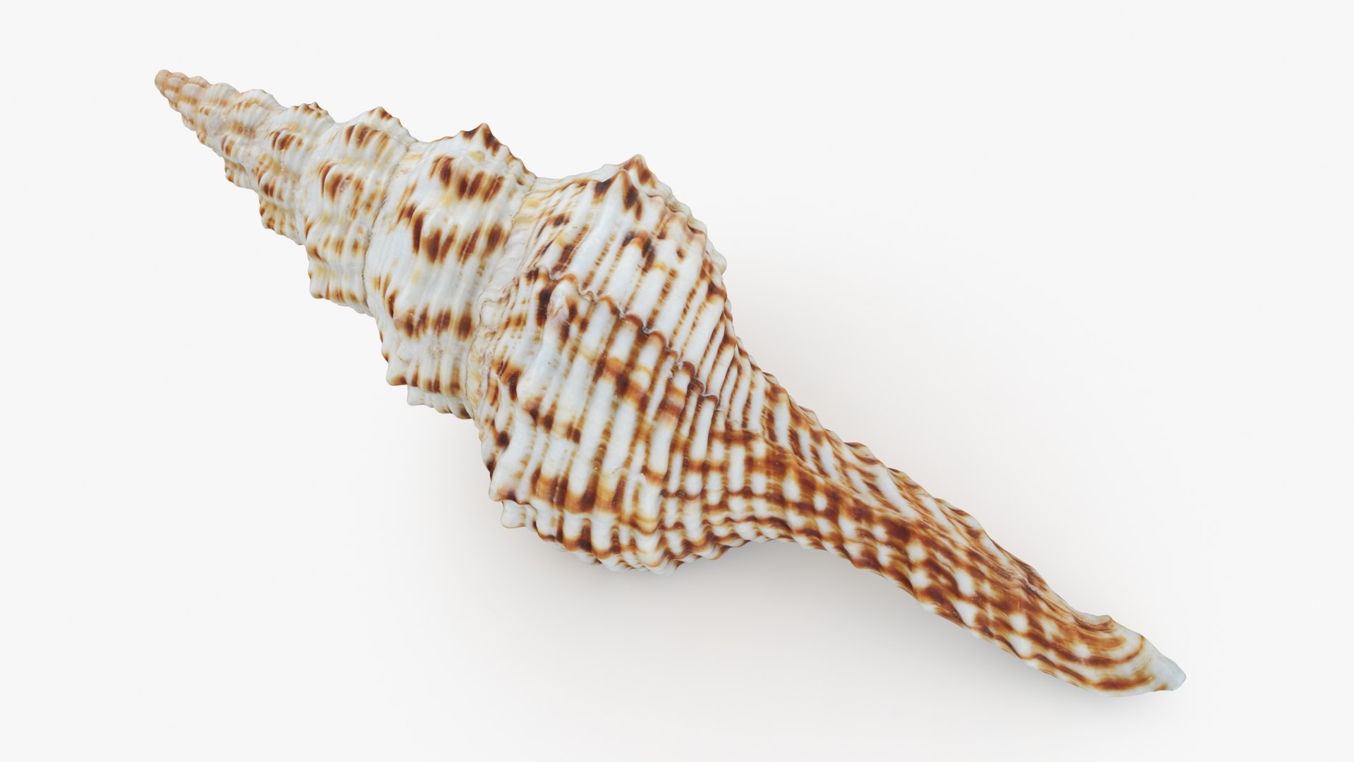 Nicobar Spindle Model - TurboSquid 2282092