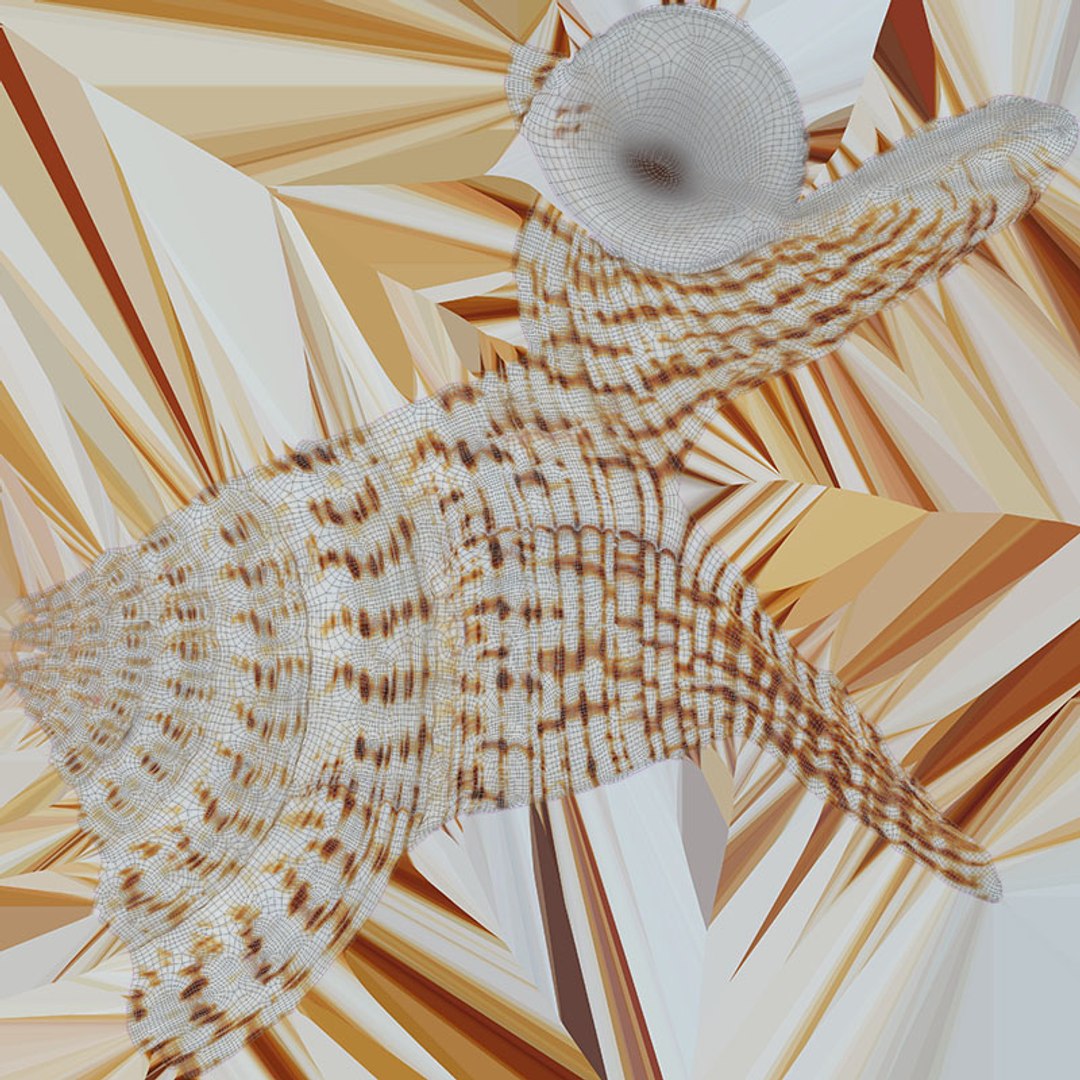 Nicobar Spindle Model - TurboSquid 2282092