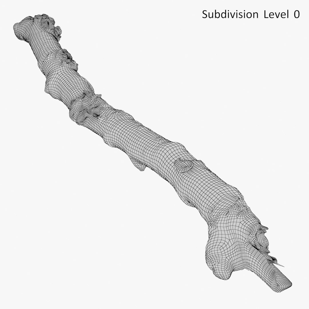 3D Realistic Branch 01 1 - TurboSquid 1217348