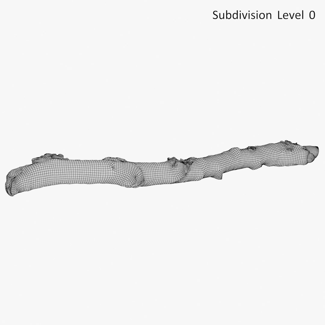 3D Realistic Branch 01 1 - TurboSquid 1217348