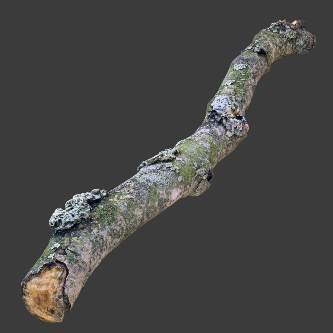 3D Realistic Branch 01 1 - TurboSquid 1217348