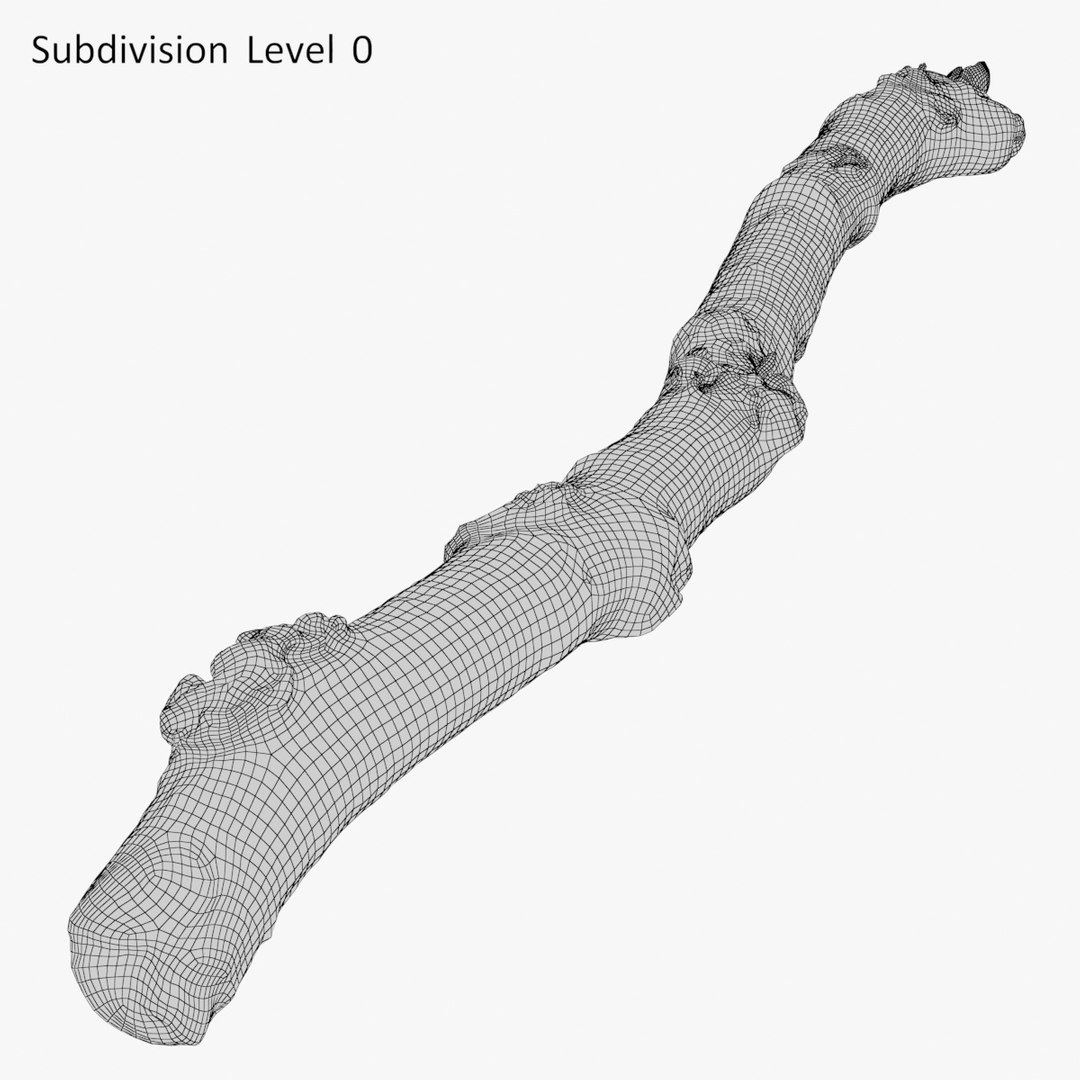 3D Realistic Branch 01 1 - TurboSquid 1217348