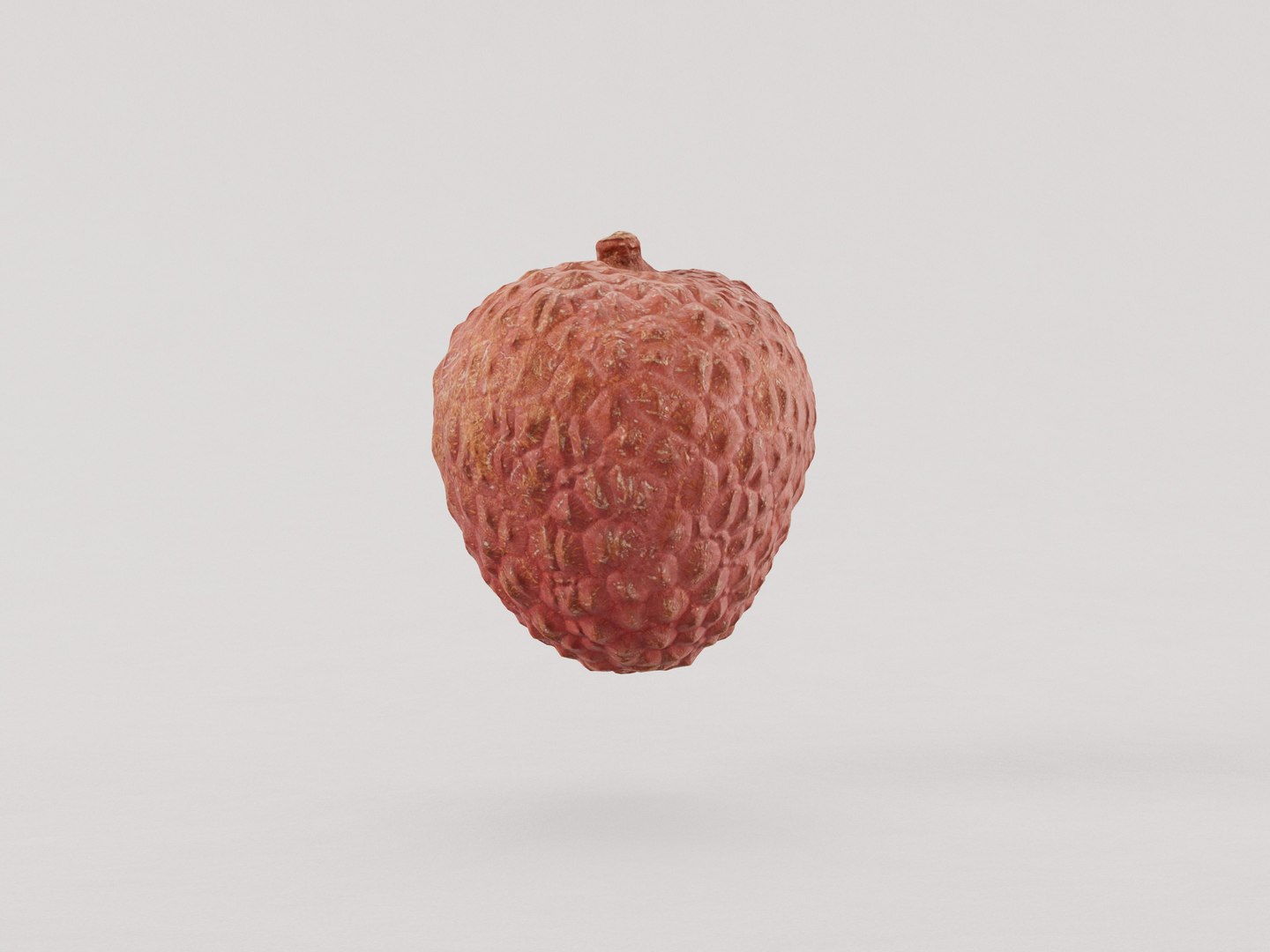 3D Model Lychee Fruit 3d Model - TurboSquid 2170576