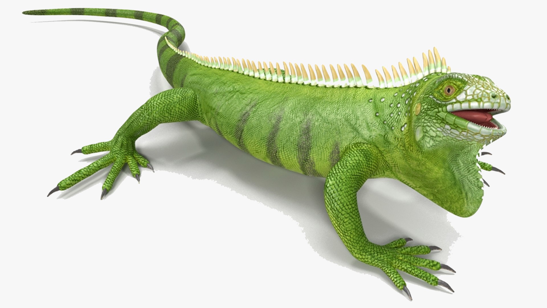 3D Iguana Reptile Creature Rigged For Cinema 4D Model - TurboSquid 2381277