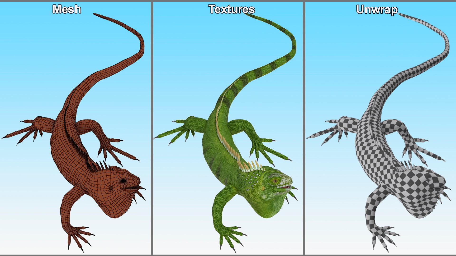 3D Iguana Reptile Creature Rigged For Cinema 4D Model - TurboSquid 2381277