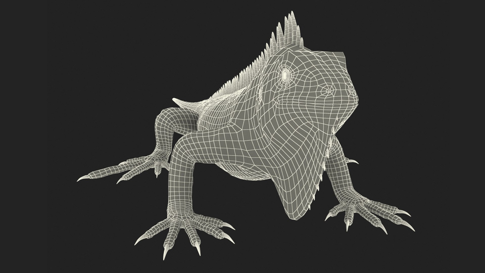 3D Iguana Reptile Creature Rigged For Cinema 4D Model - TurboSquid 2381277